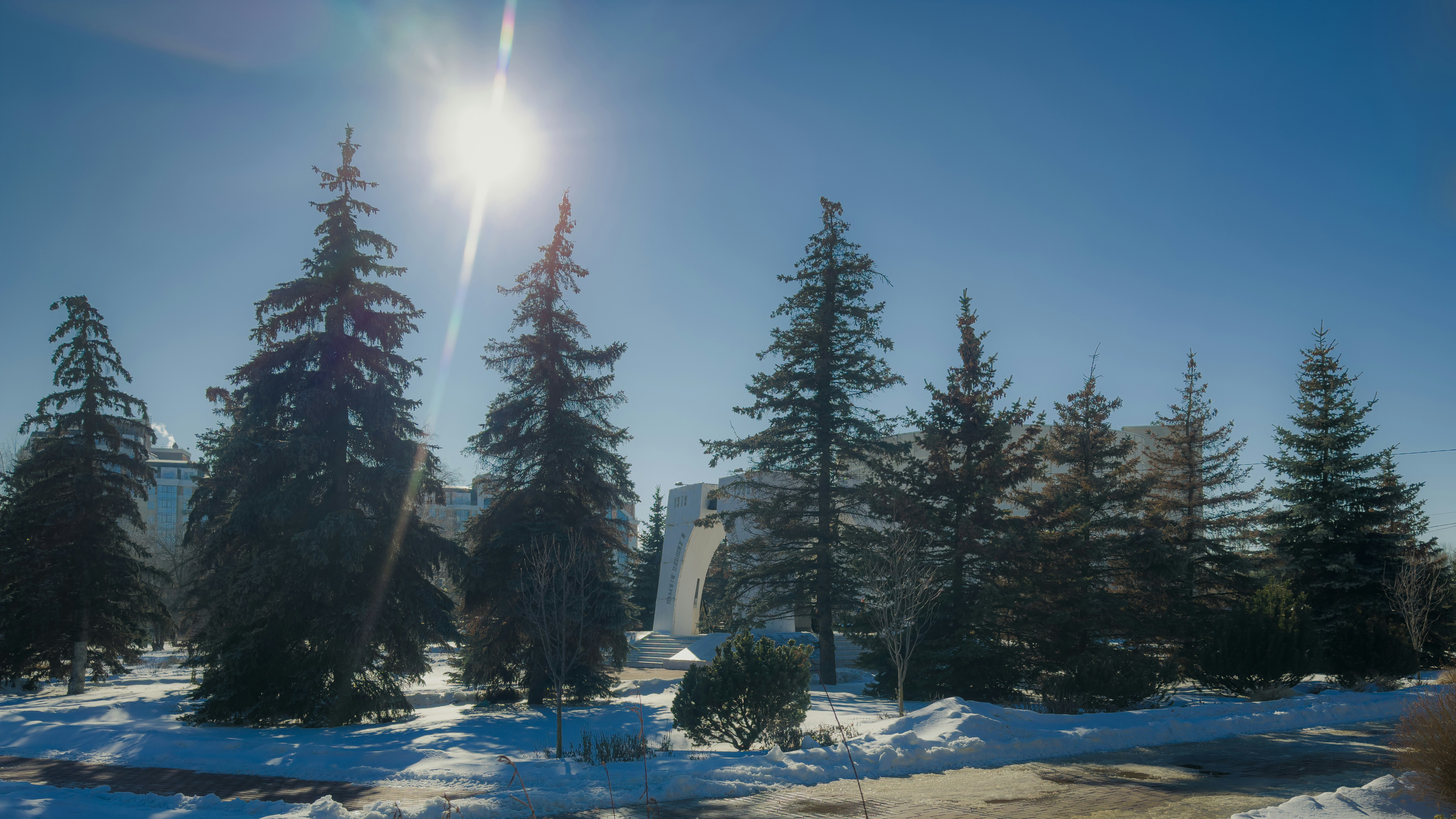 Sunlit Snow Garden Serenade