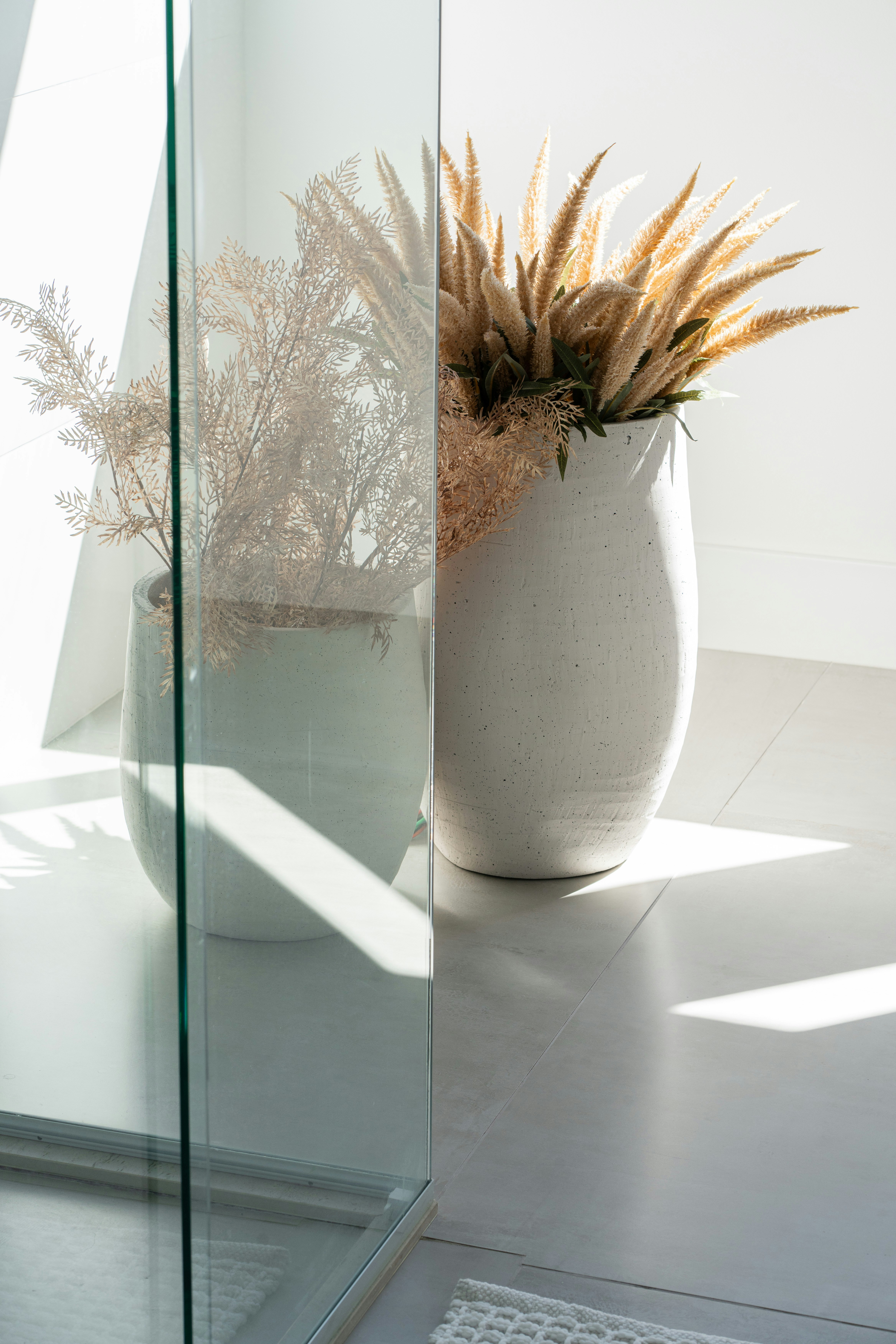 Minimalist still life: a sunlit ceramic planter reflected in glass