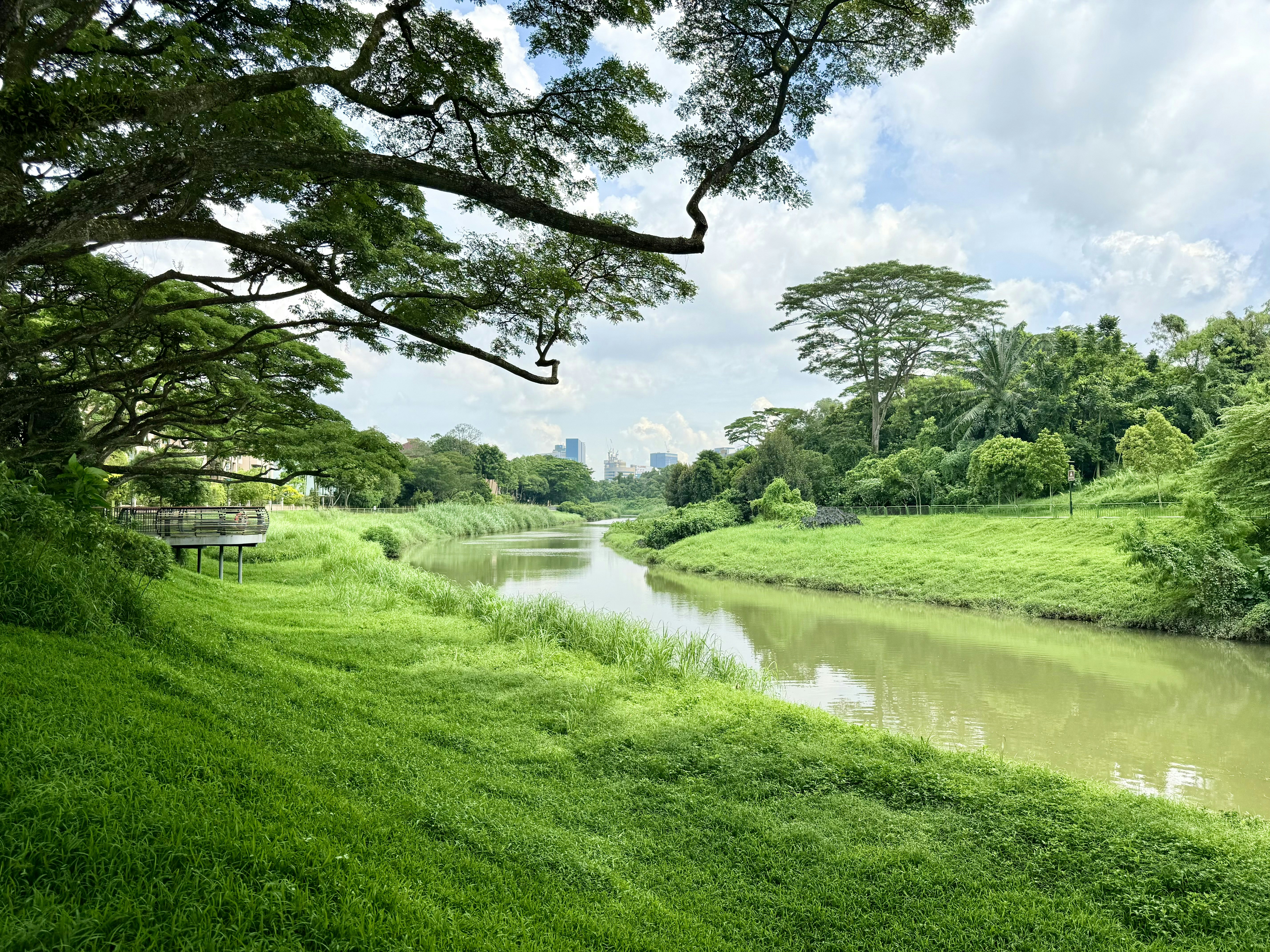 Verdant Riverbend: A Quiet Park Corridor