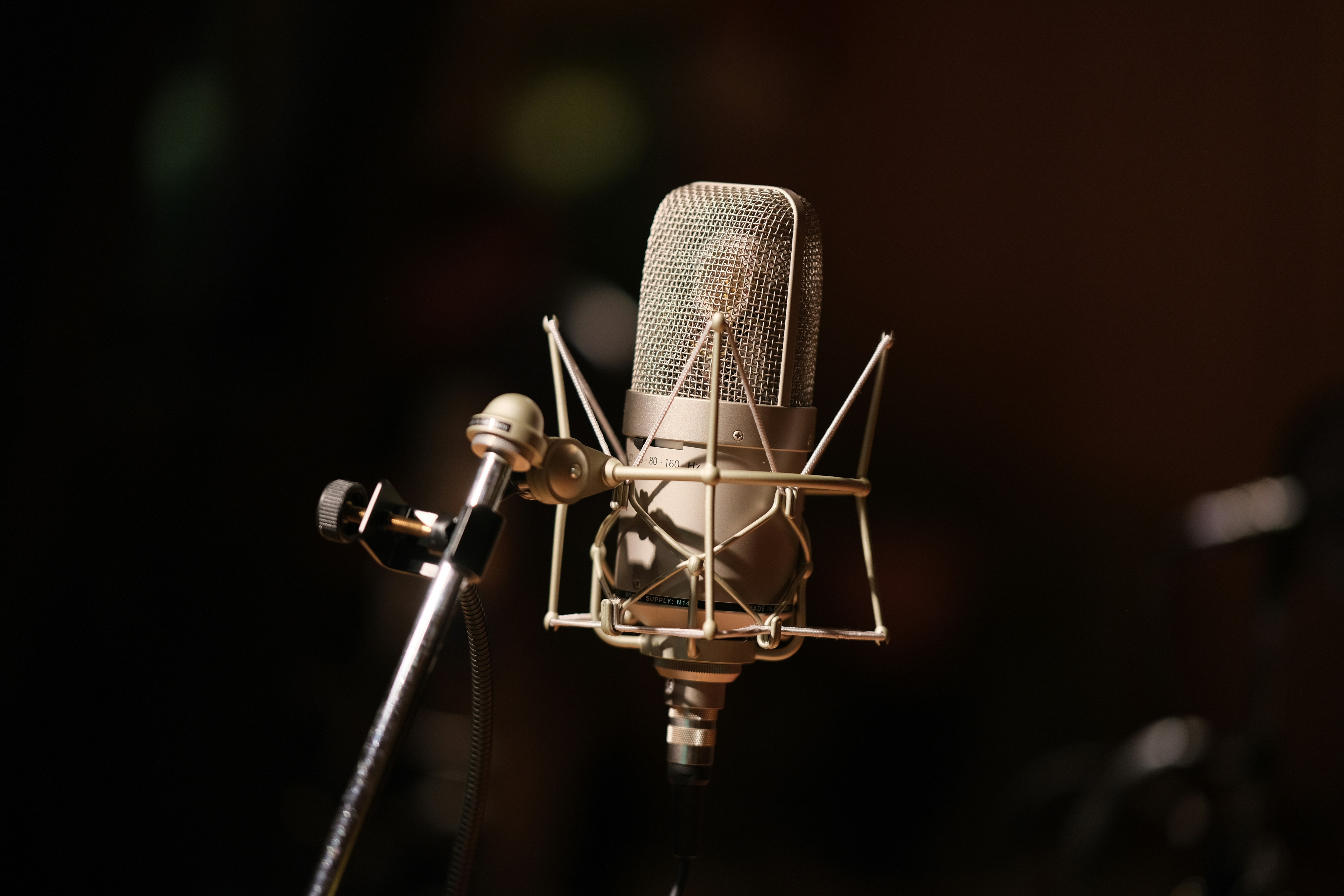 Close-Up Resonance: A Studio Condenser in Focus