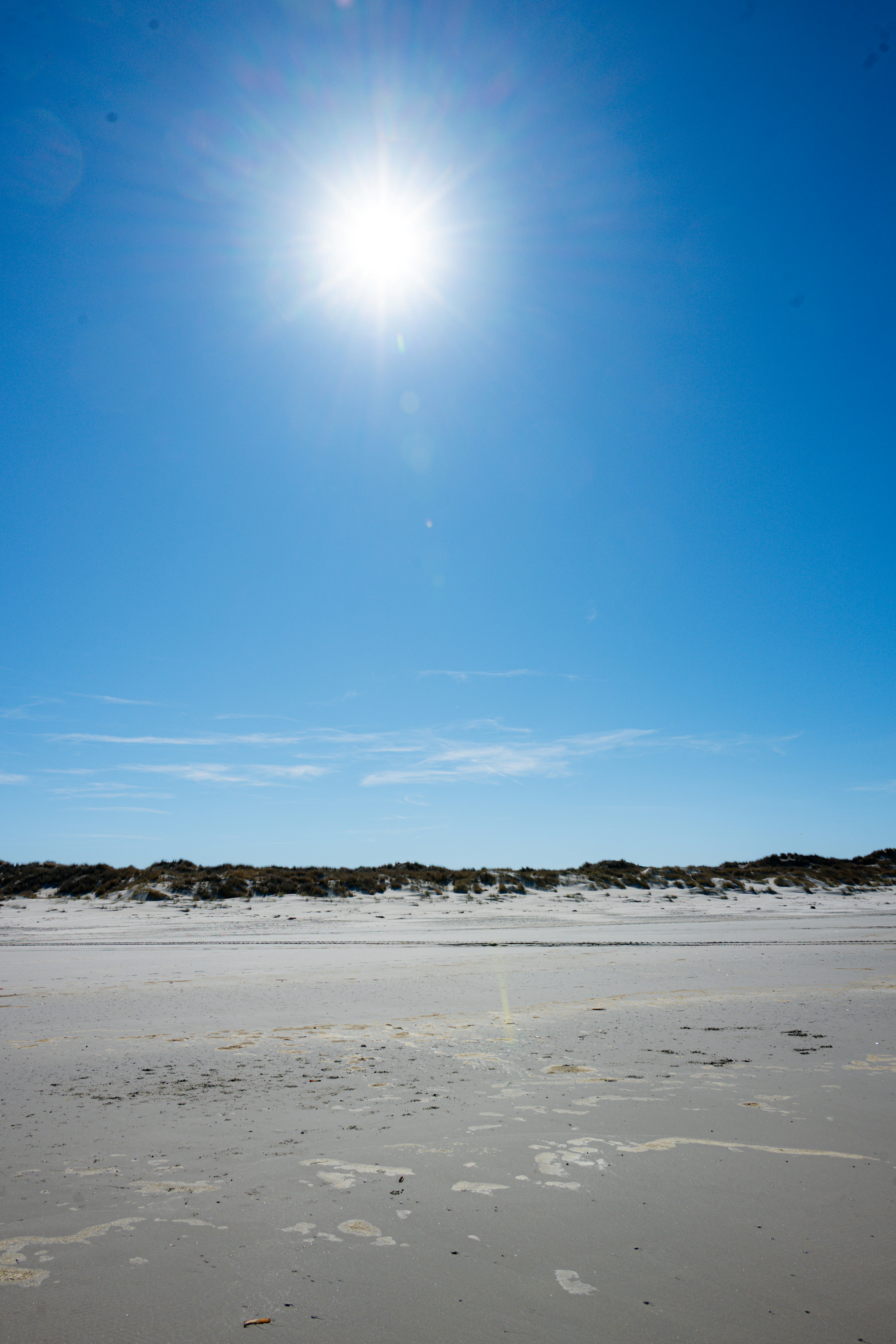Sunlit Dunes: A Harsh Blue Horizon Over Quiet Sands