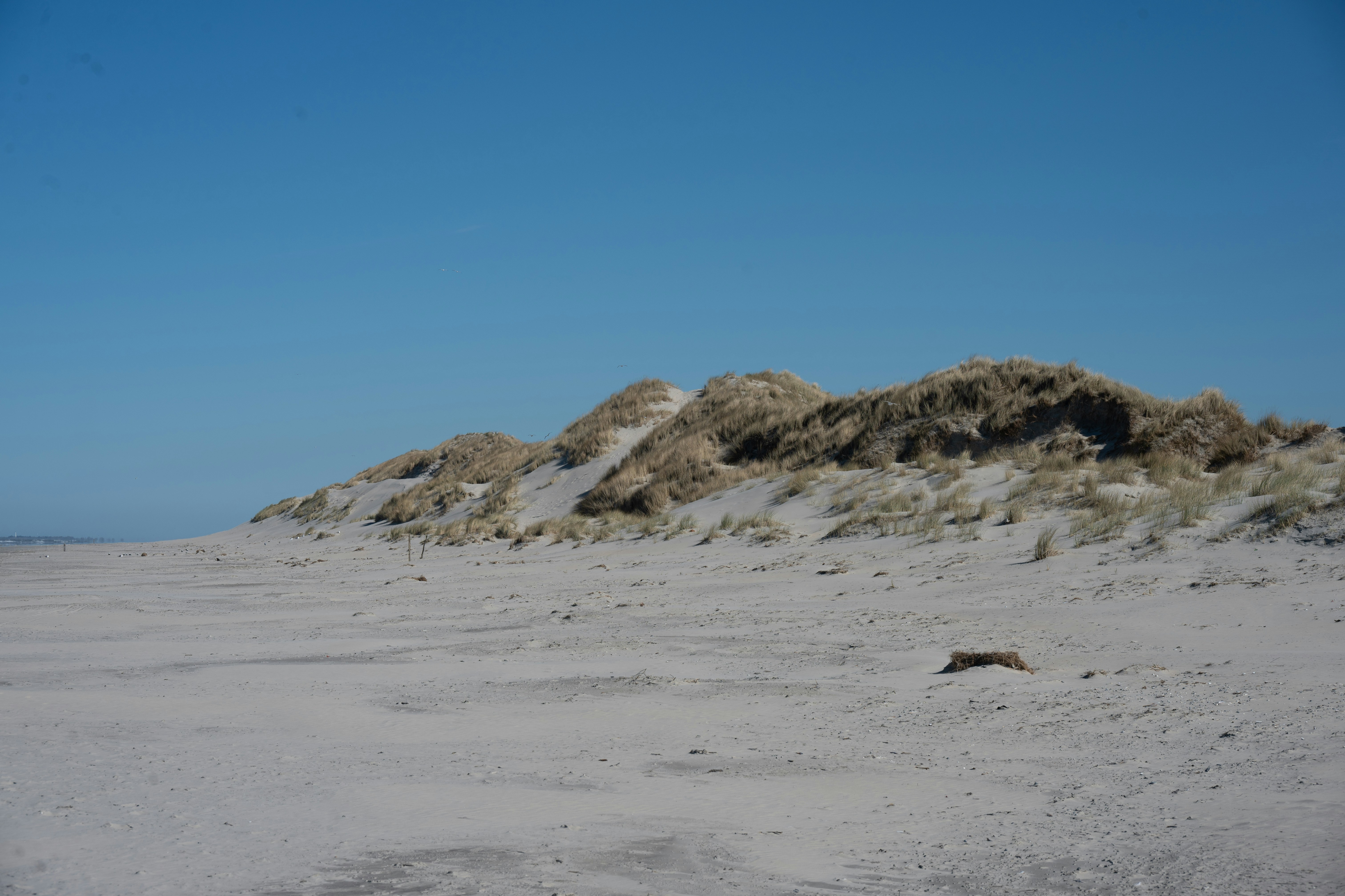 Dune Horizon: Quiet Sands Under a Clear Coastal Sky