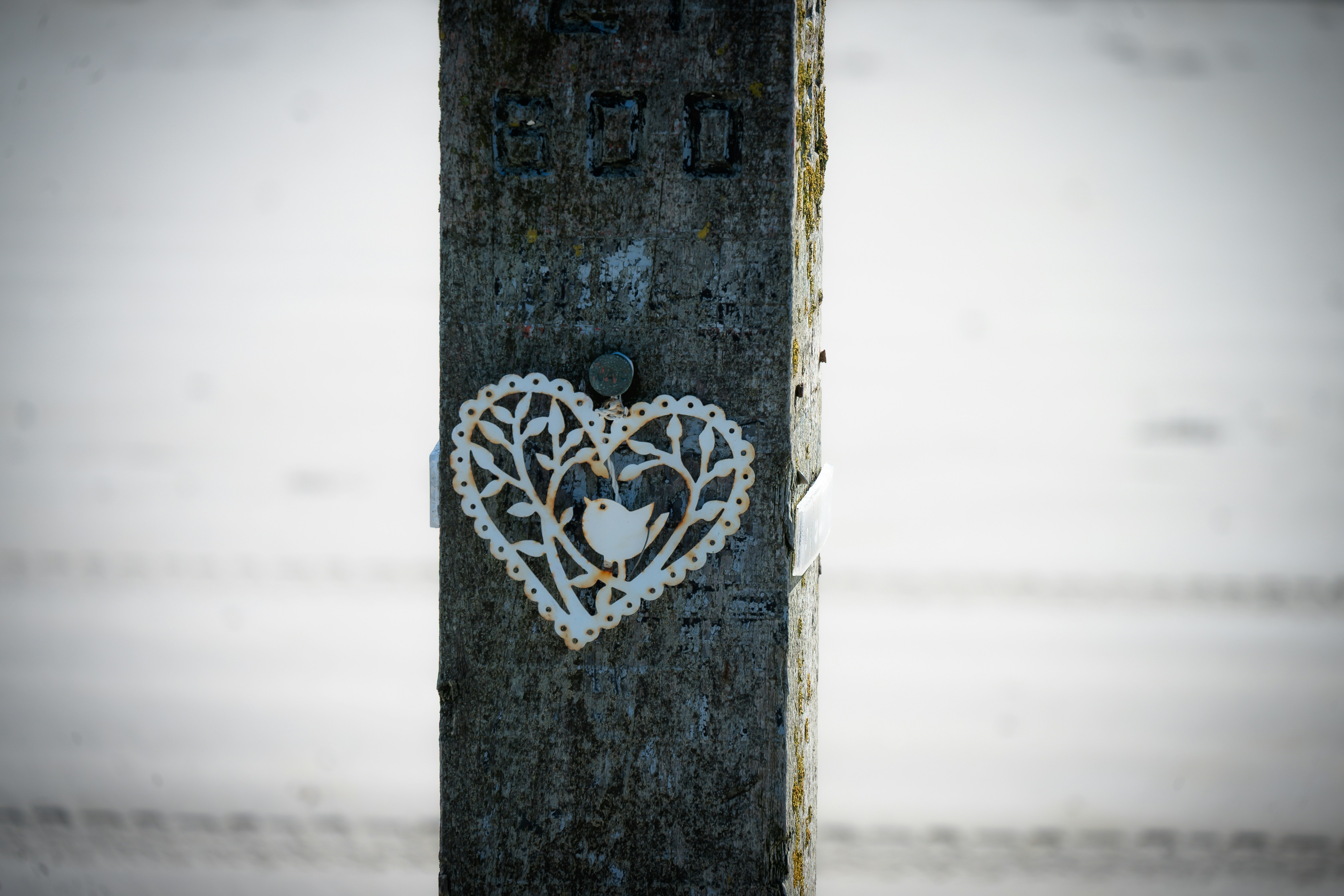 Heart on the Post: a Silver Ornament Anchored in Weathered Wood