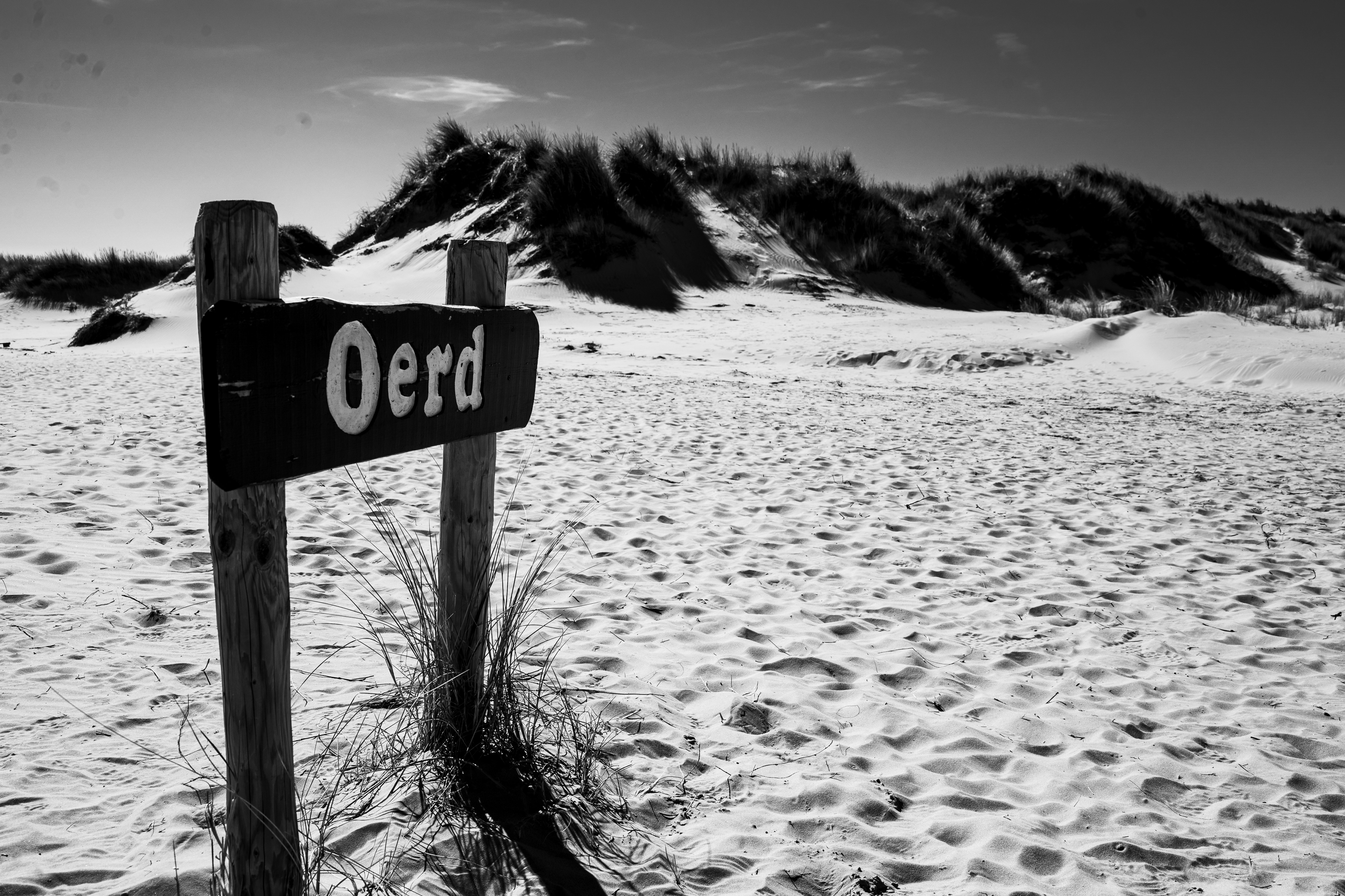Dune Signpost in Windswept Sands