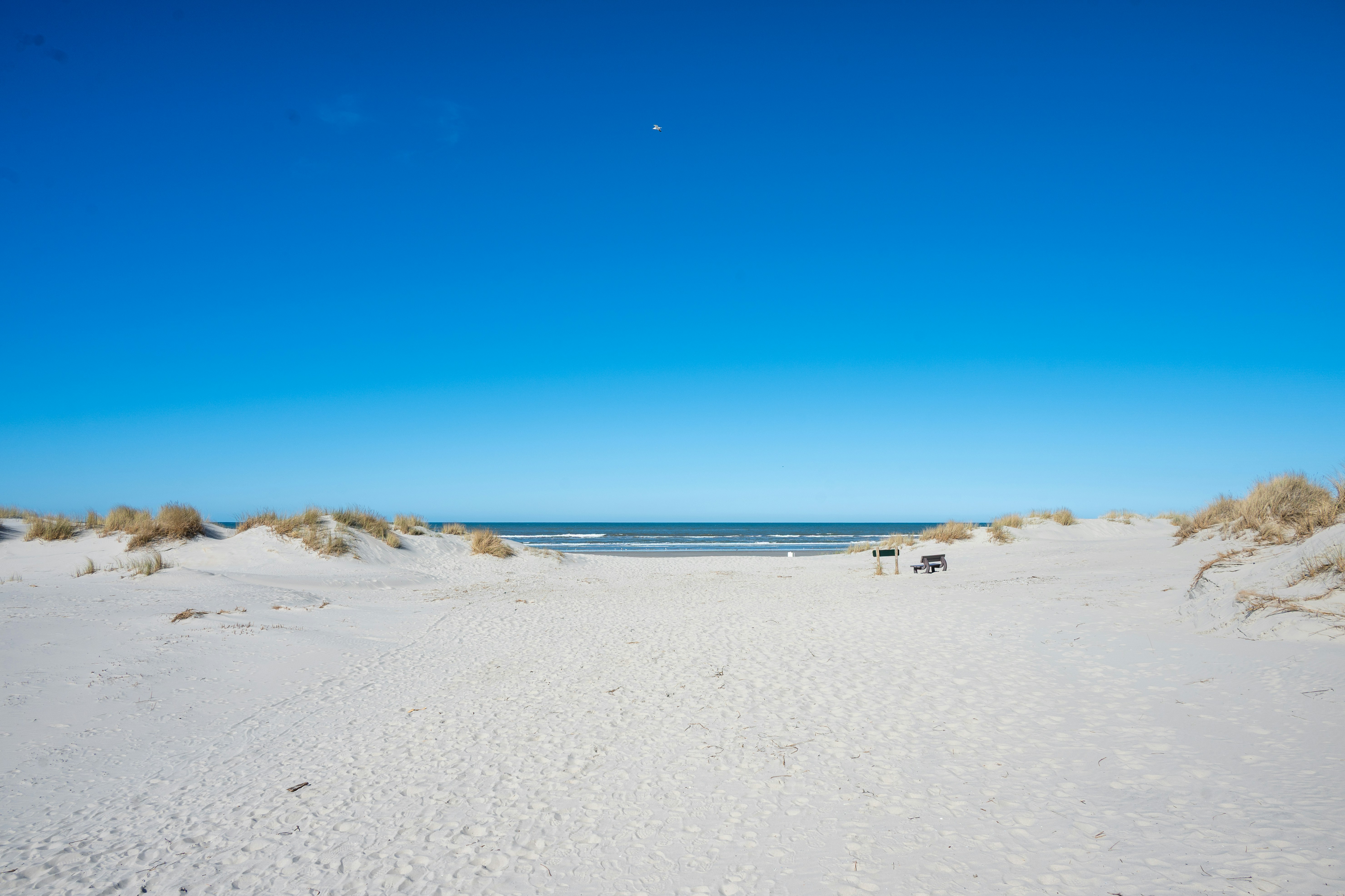 Cosmic Blue Horizon Over Quiet Dune Beach