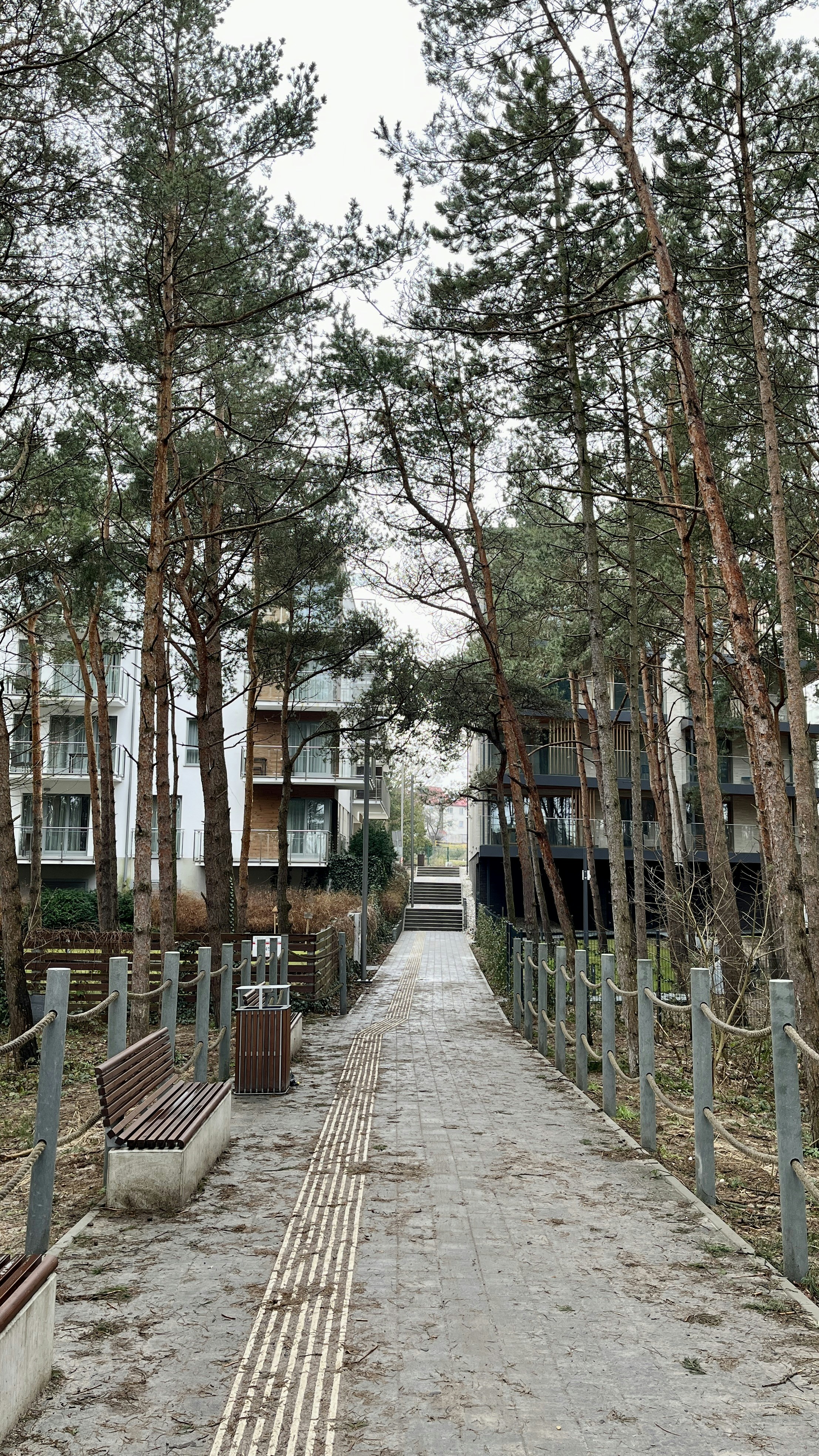 Path Through the Pines to a Quiet Stairway