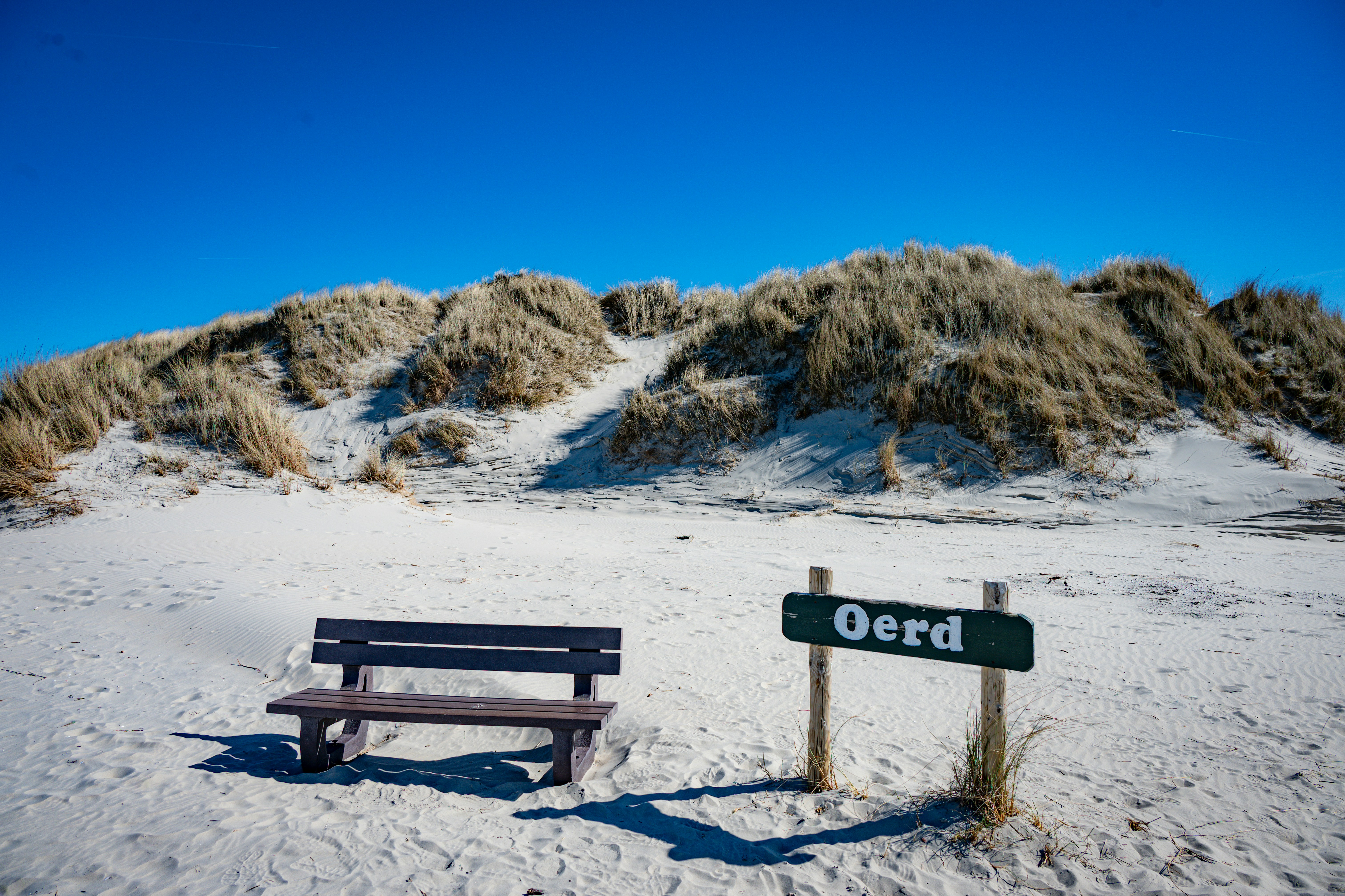 Sand-Dune Bench at Low Tide of Daylight