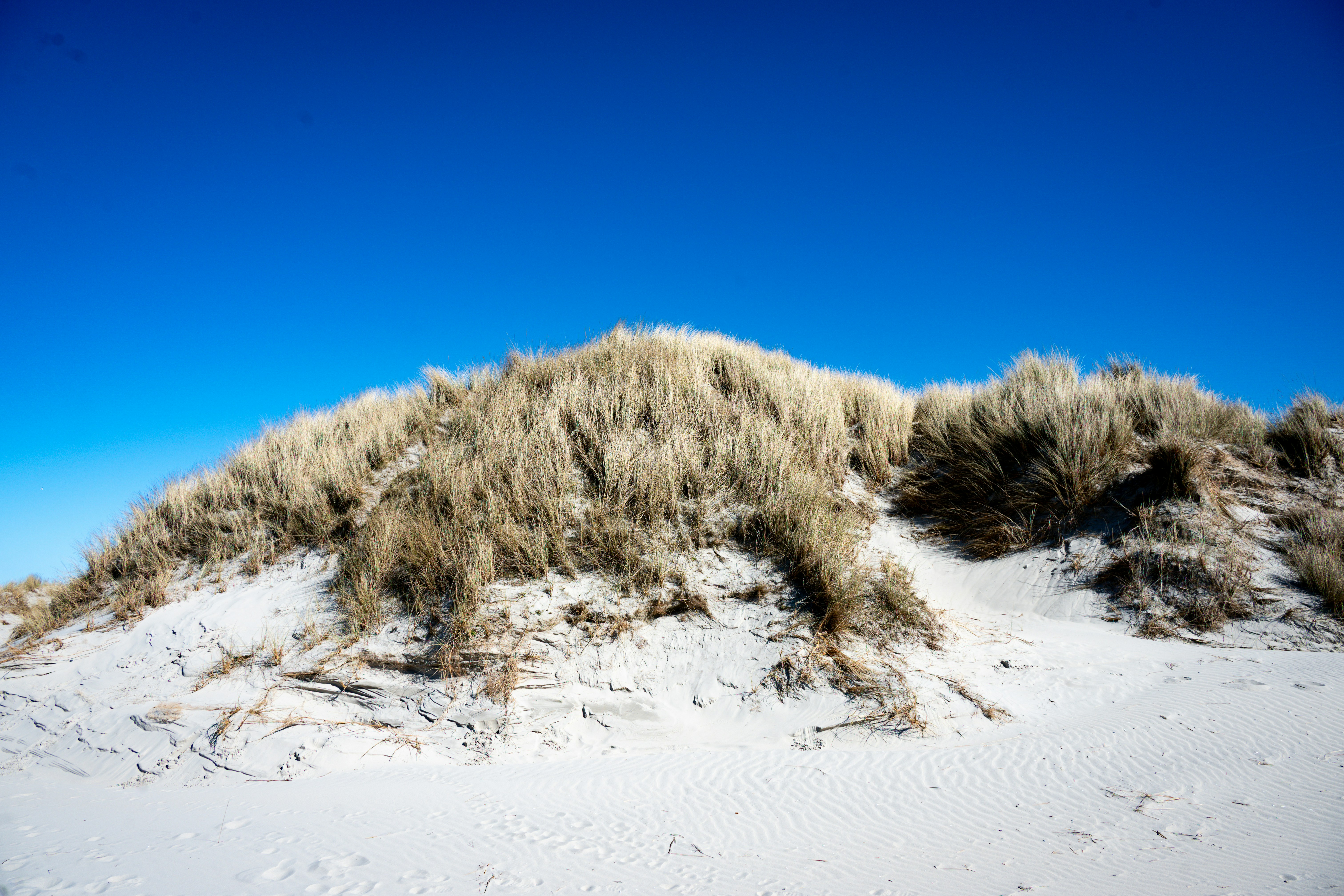 Dune Crest under A Clear Blue Sky