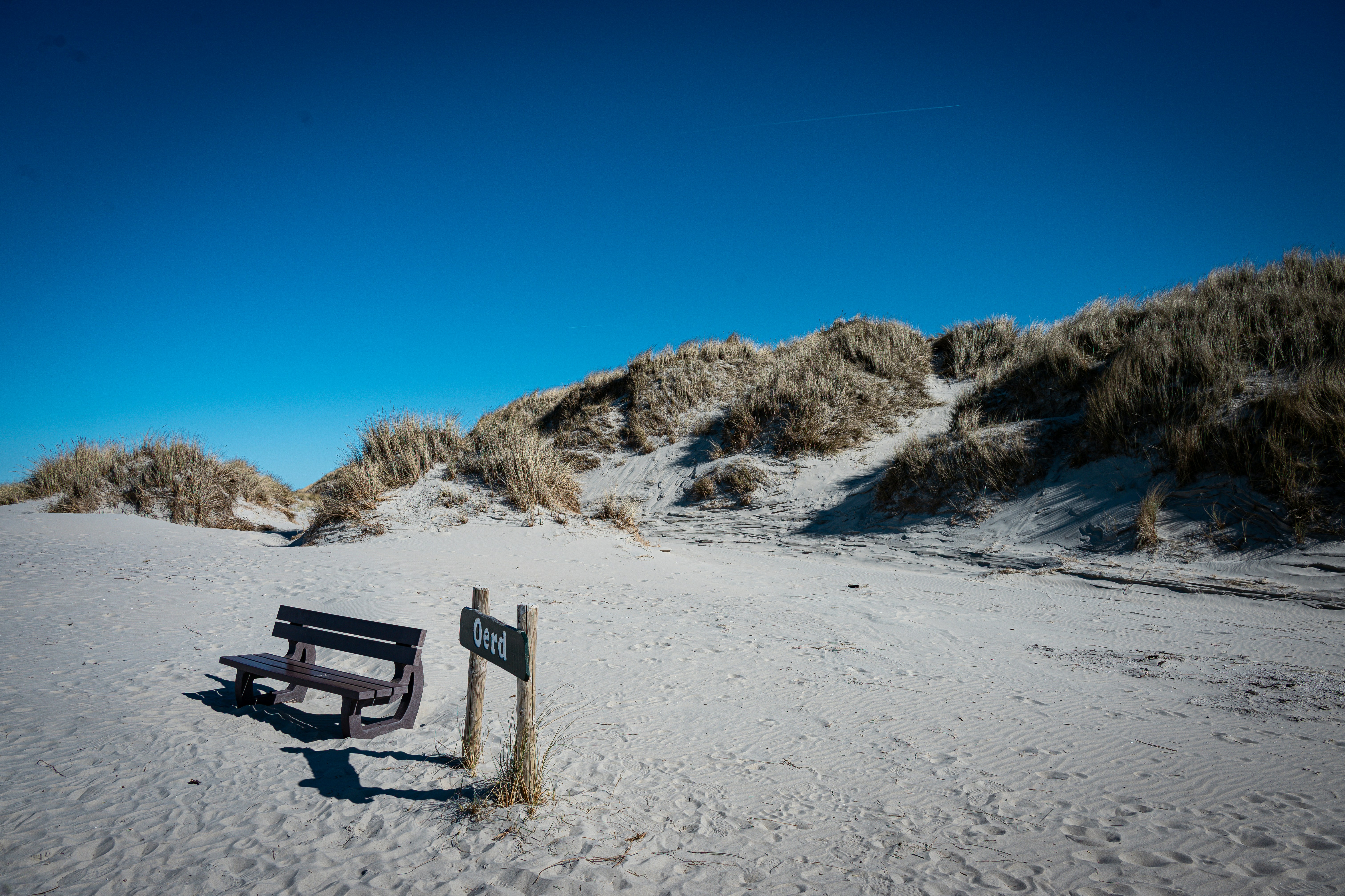 Desert Bench at Dune Edge