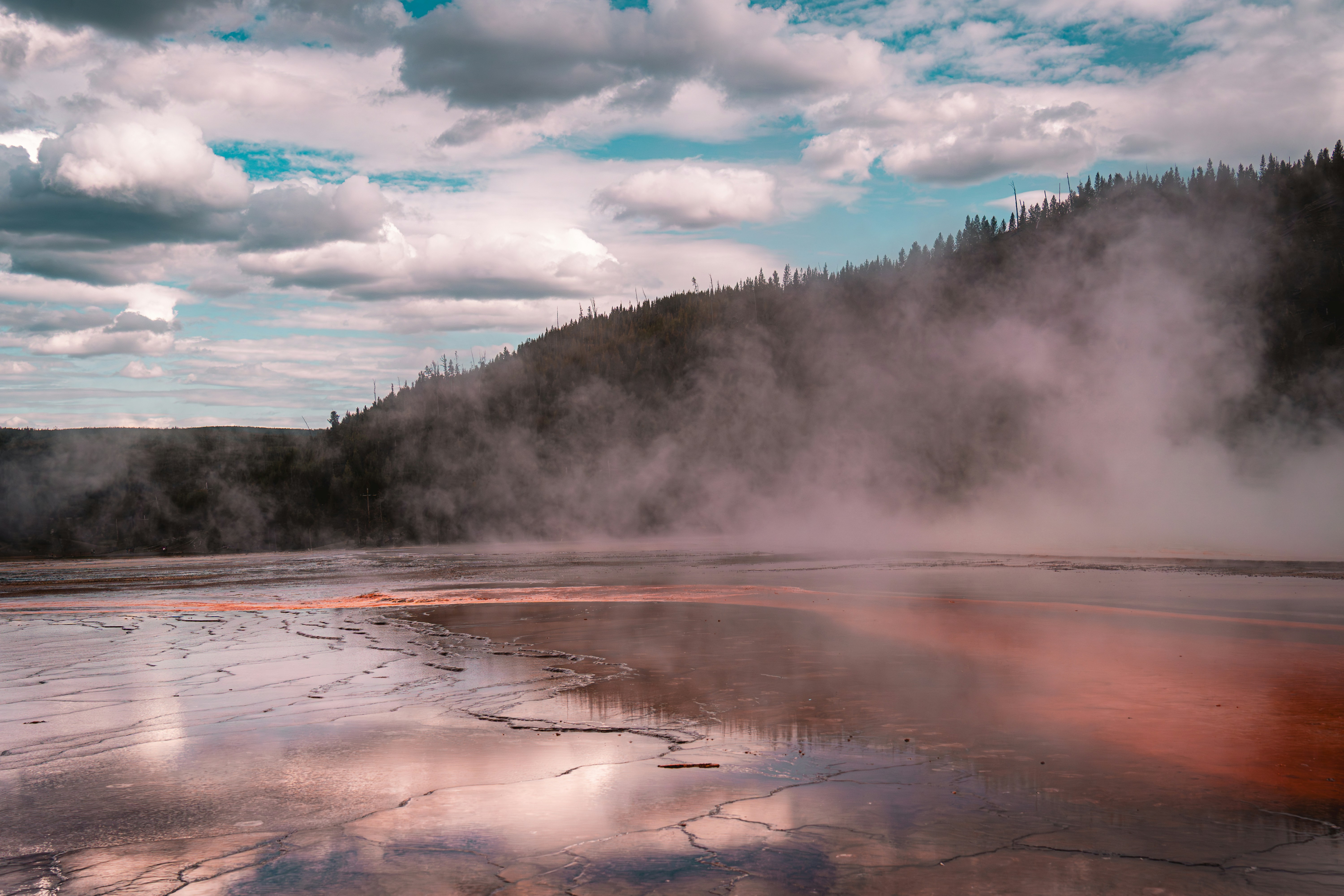 Steam over the mineral pools at dawn within a rim of dark forest