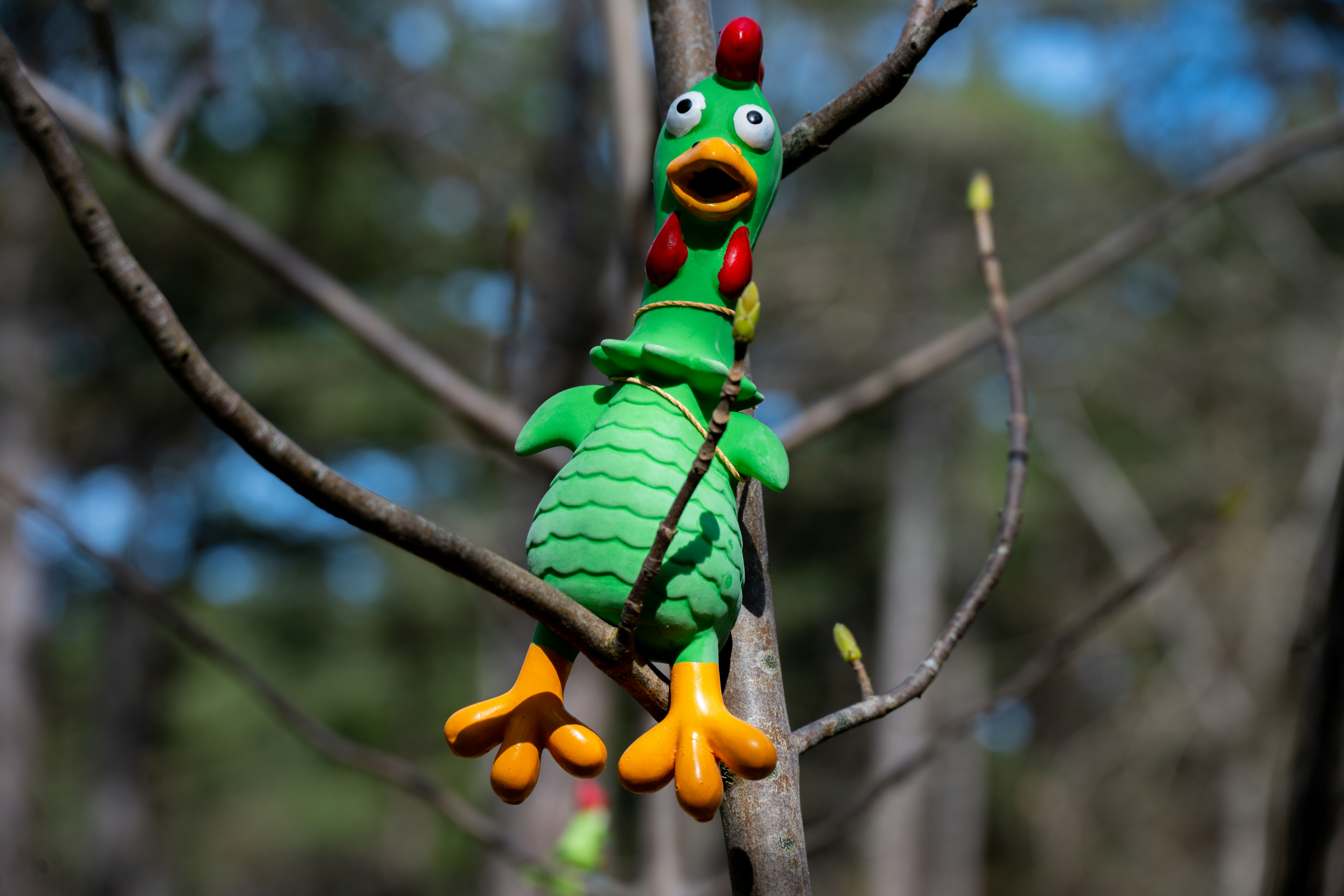 Perched Playful Dragon Surrounded by Bare Branches