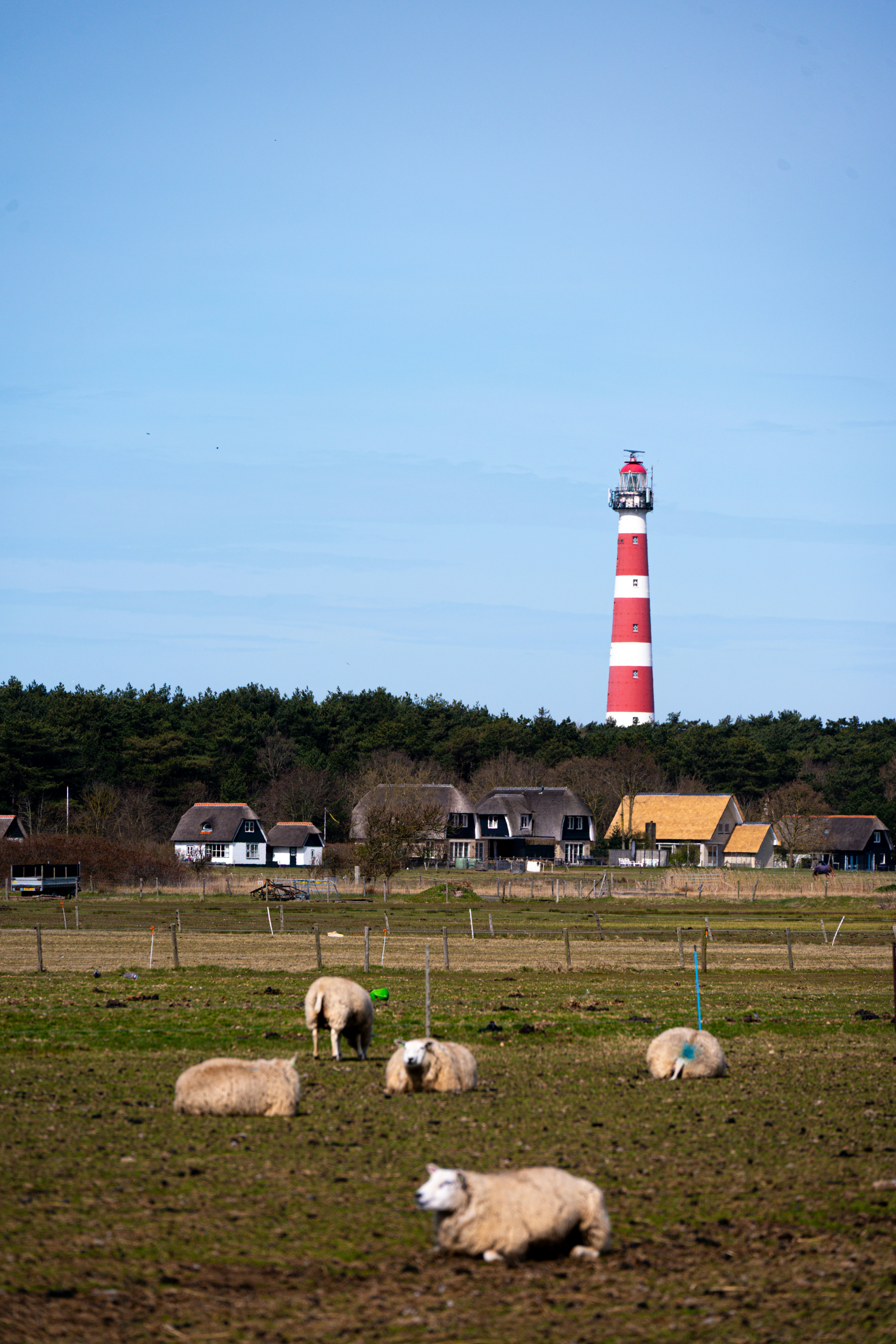 Lighthouse Watch over Quiet Pasture