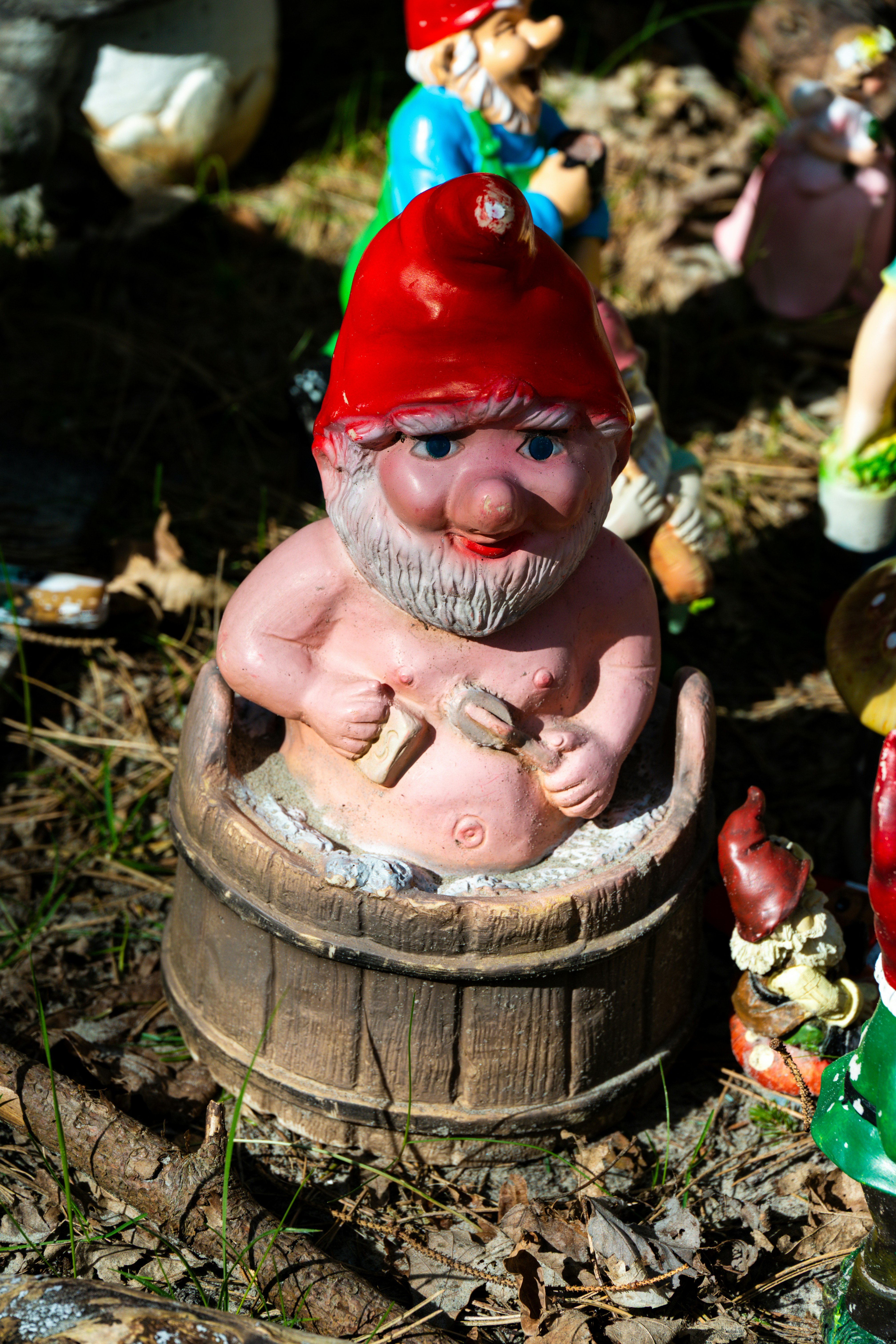 Smiling Garden Gnome in a Barrel