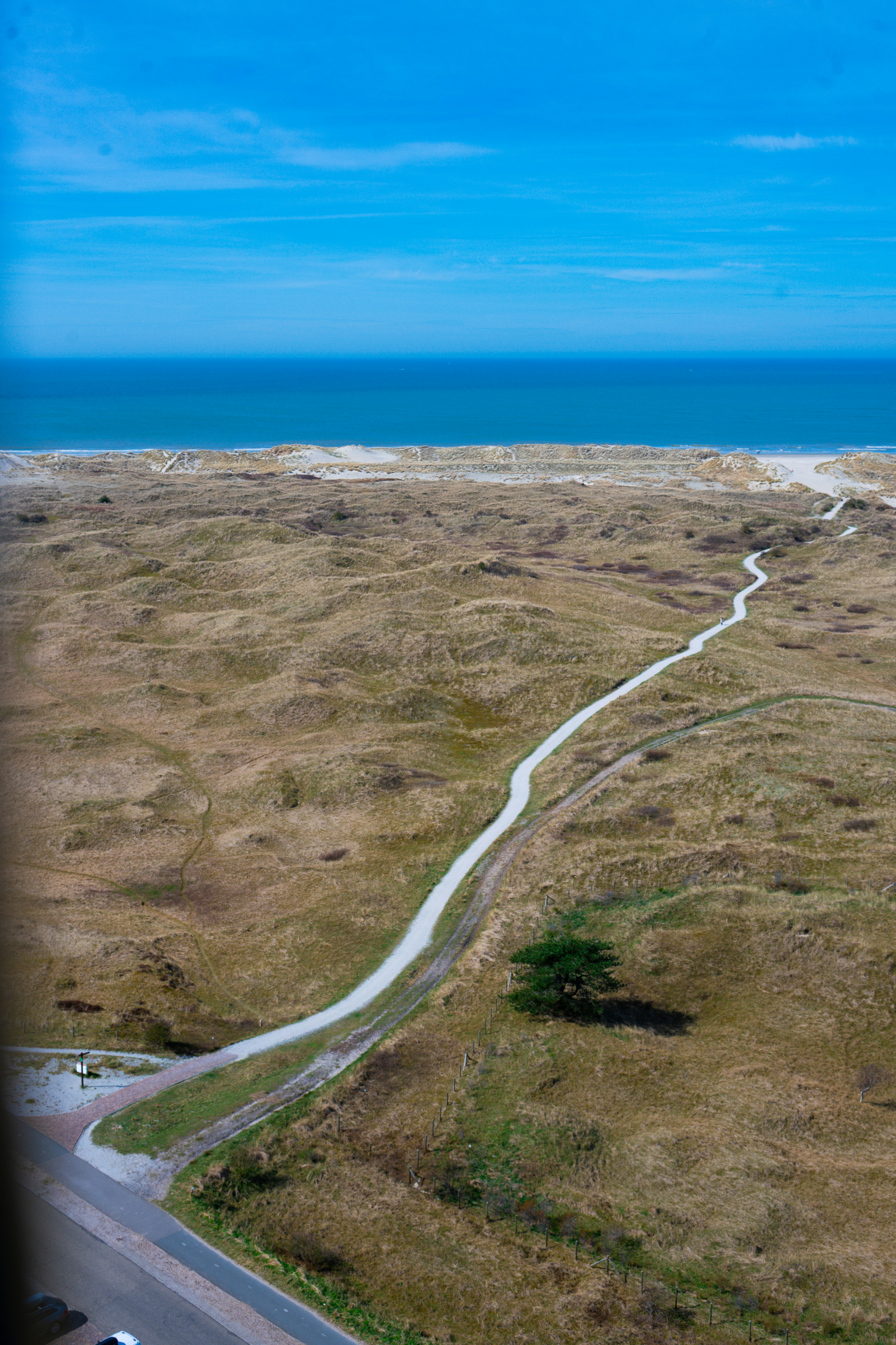 Coastal Dunes, A Winding Path to the Sea