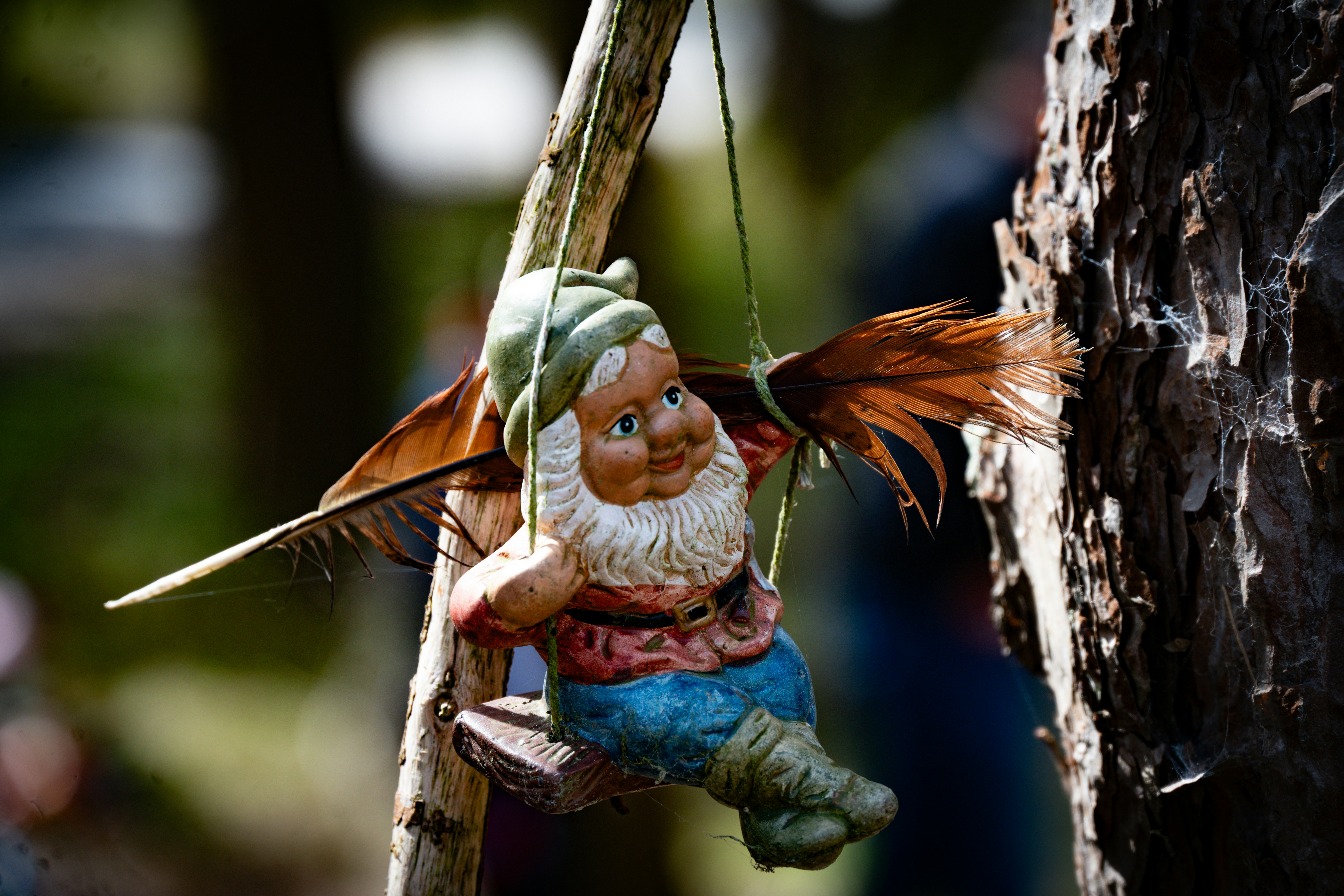 Whimsical Swing: Gnome on a Rope Amid Tree Bark