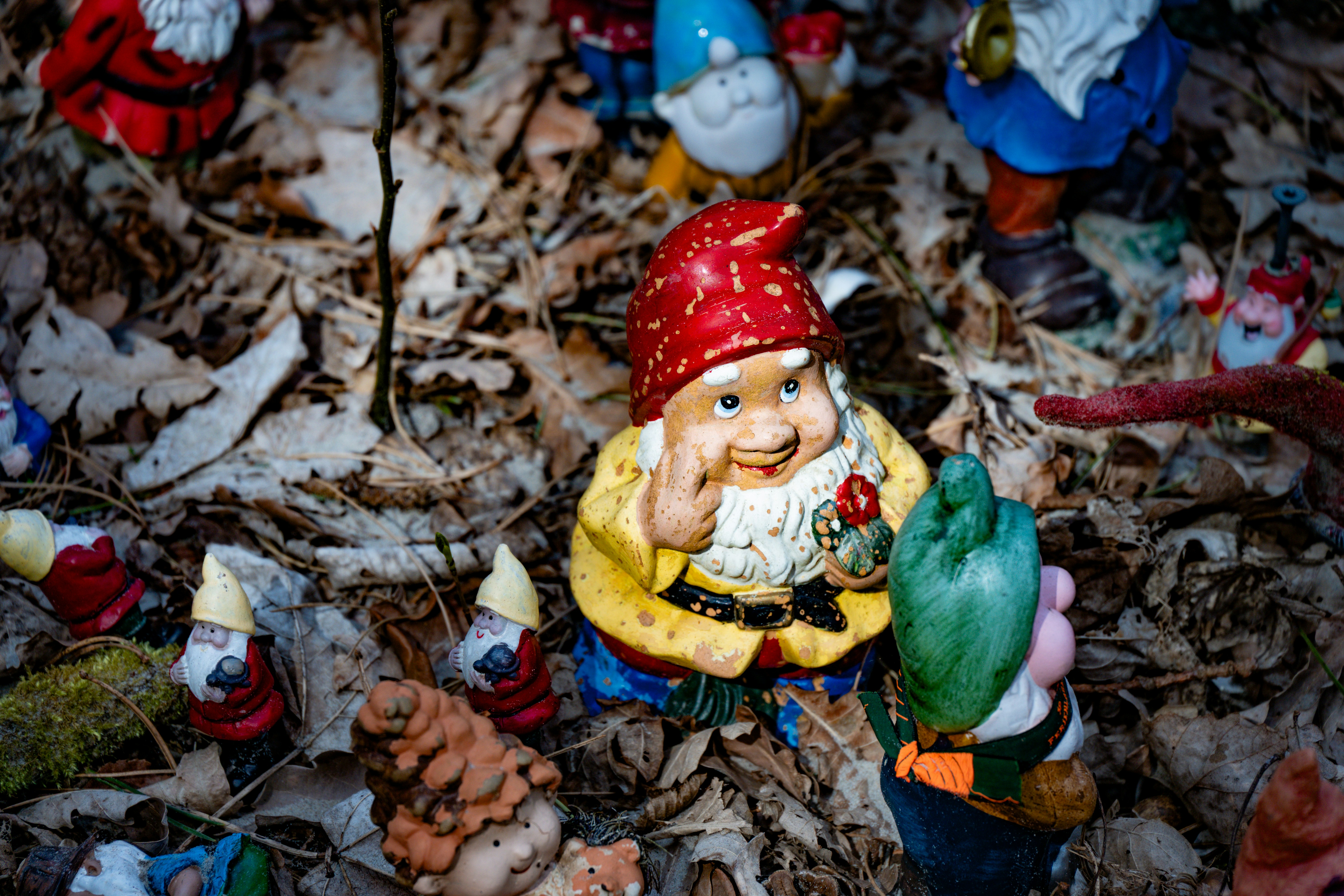 Garden of Gnomes: A Closer Look at a Cheerful Gnome Within a Woodland Miniature