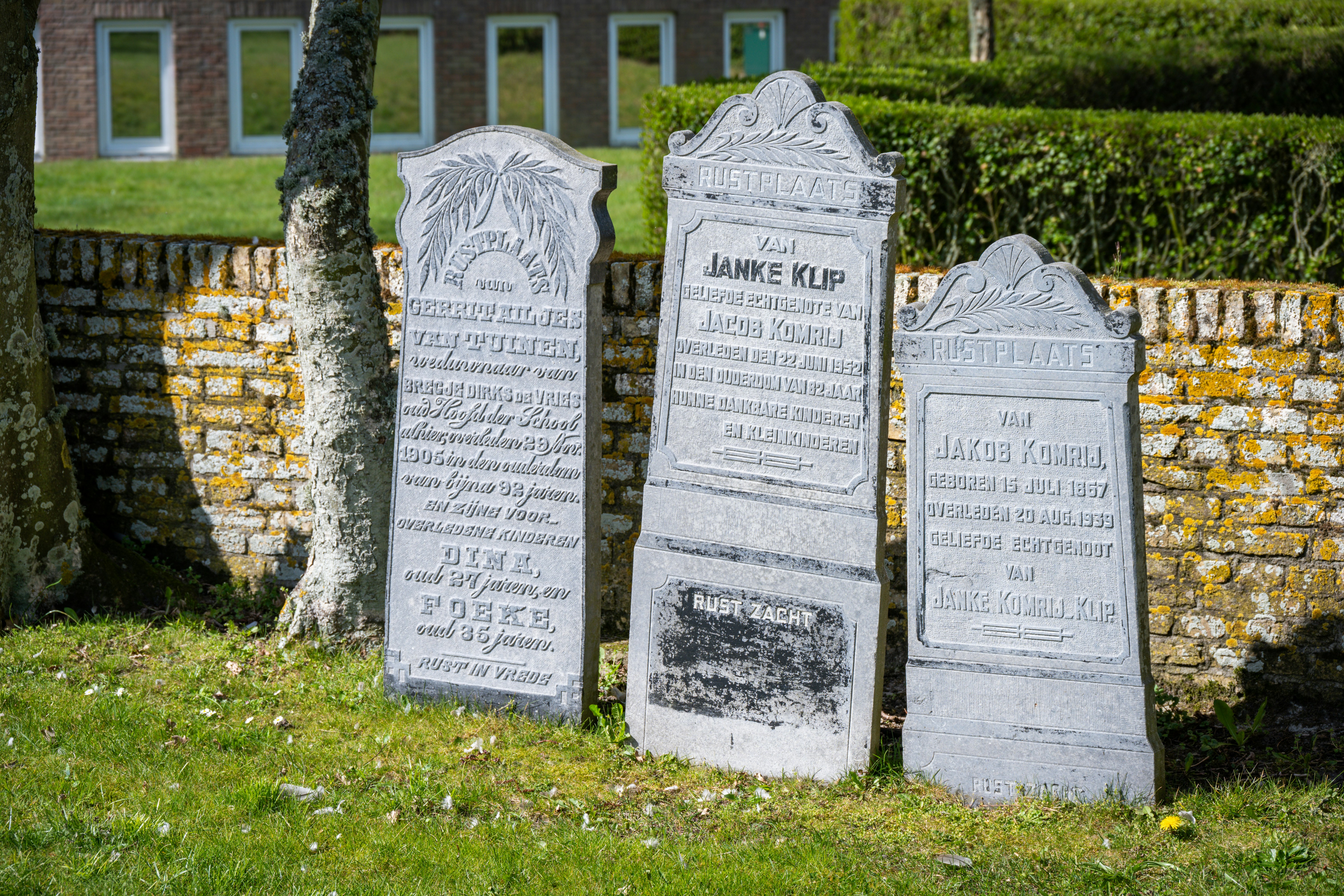 Sunlit cemetery stones stand upright against a low brick wall, with a grassy foreground and a tree trunk nearby; the scene emphasizes weathered inscriptions and calm outdoor atmosphere.