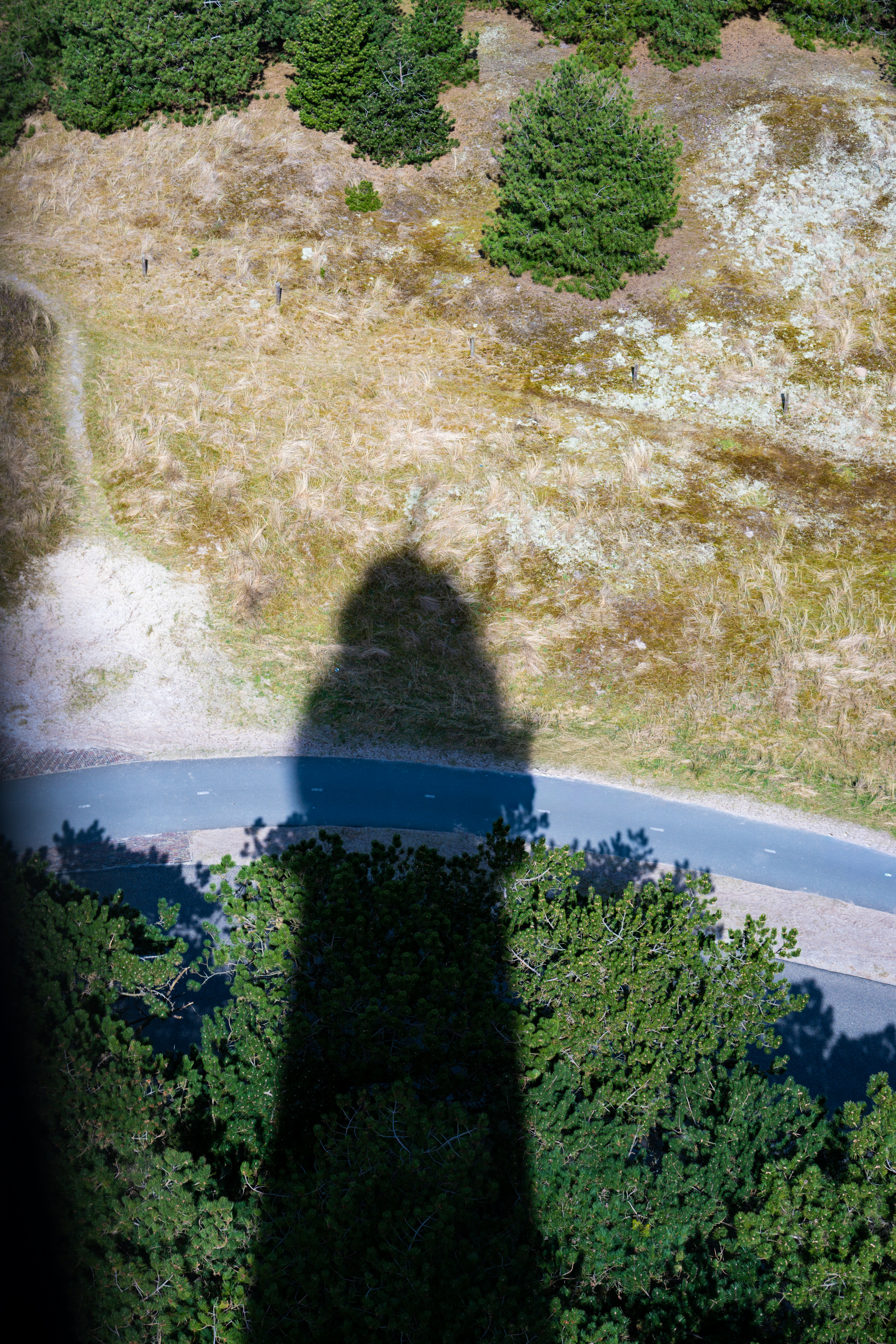 Shadowed Overlook: A Rooftop Tallness Cast on a Winding Road
