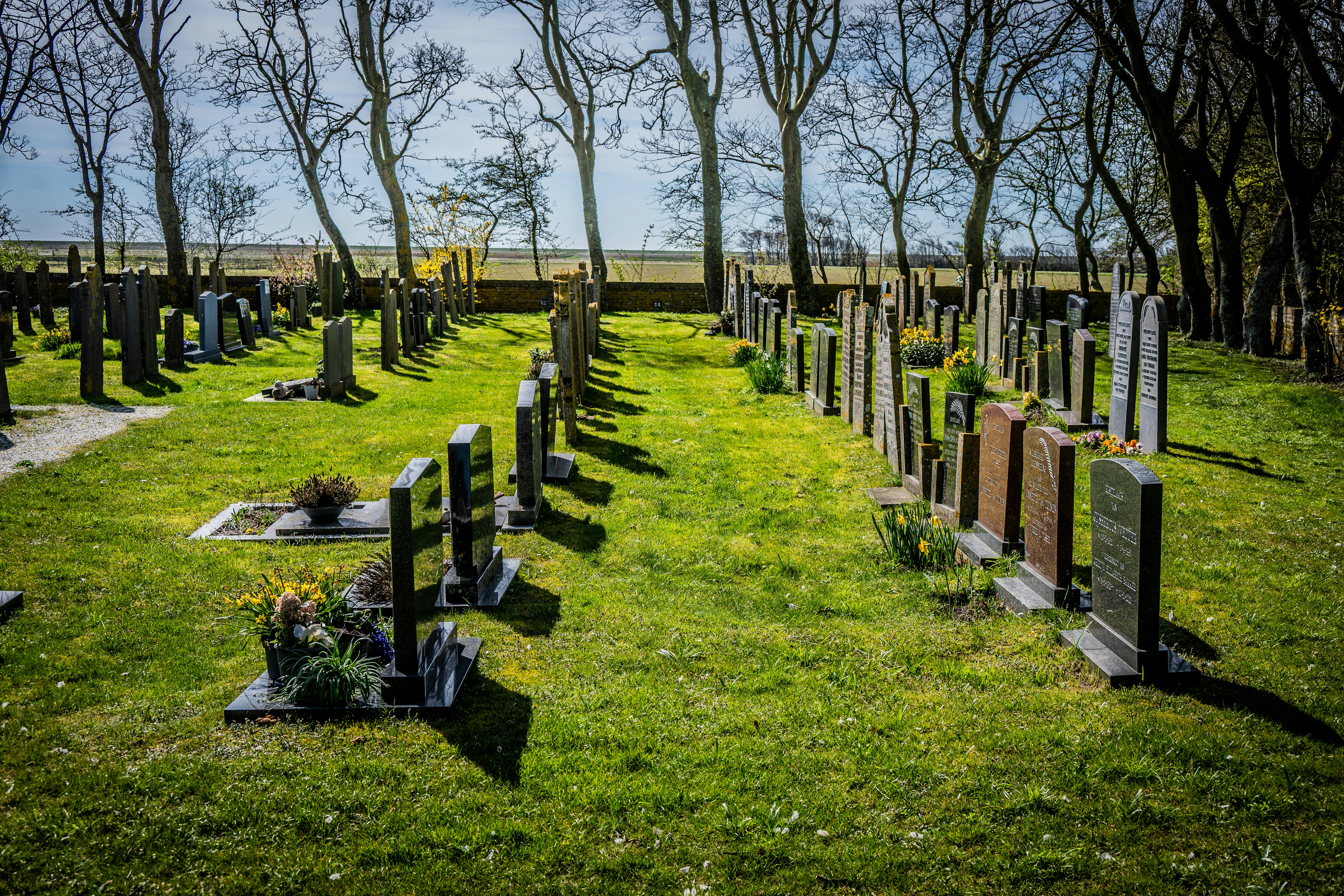 Rows of Memory: A Quiet Cemetery Under a Blue Sky