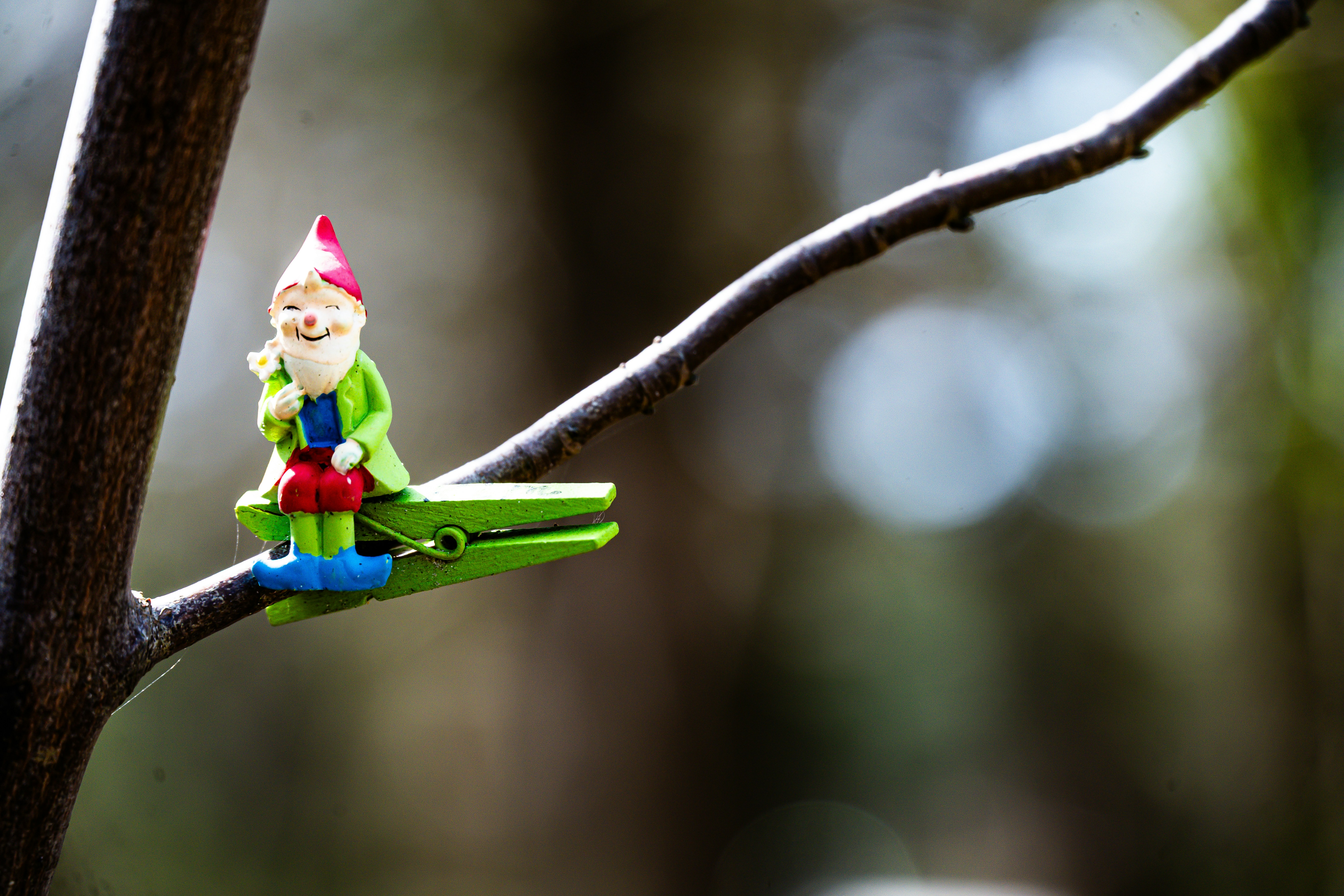 Tiny Gnome on a Branch: A Spark of Playful Color