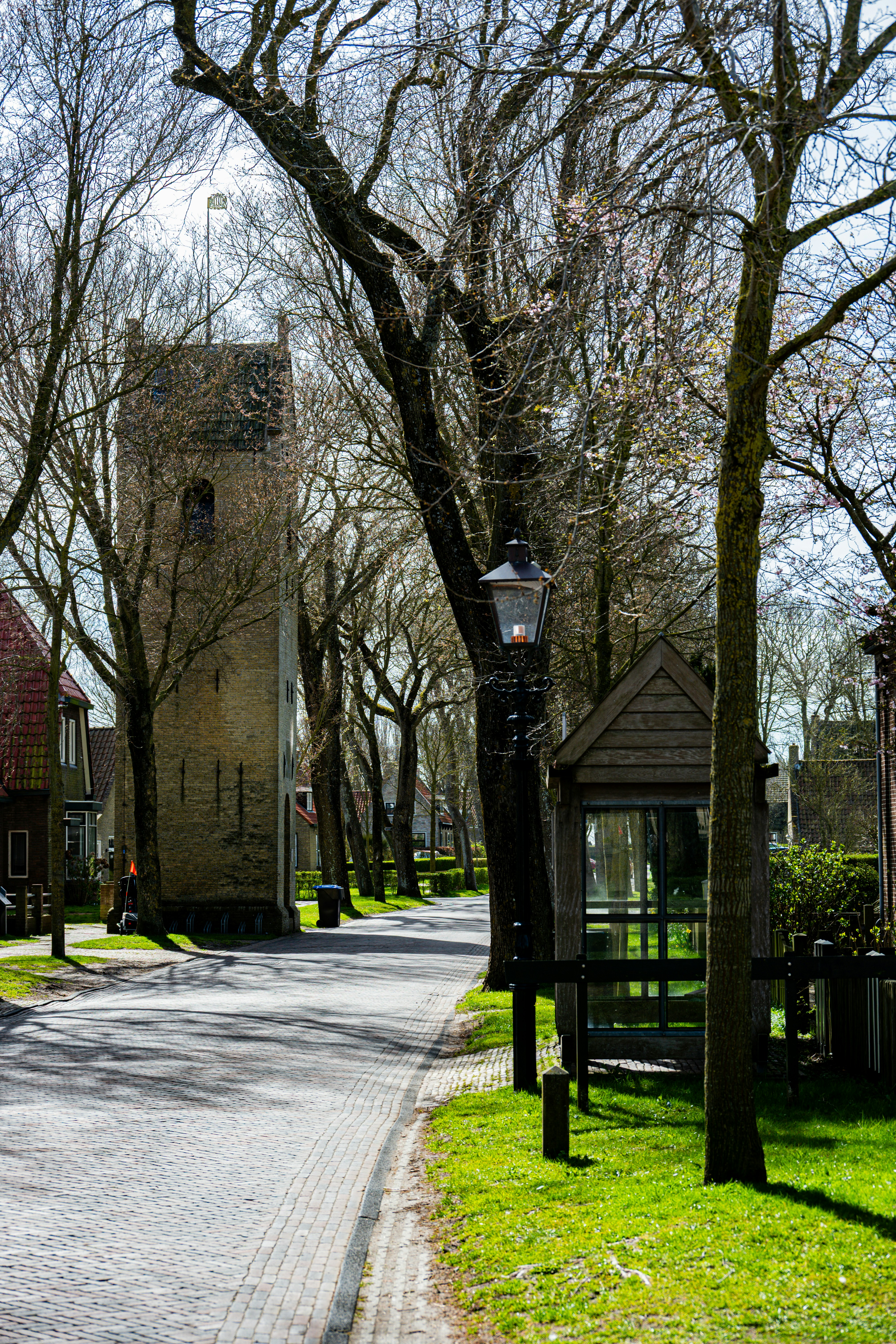 Quiet Street and Tree Archway by a Cobblestone Lane