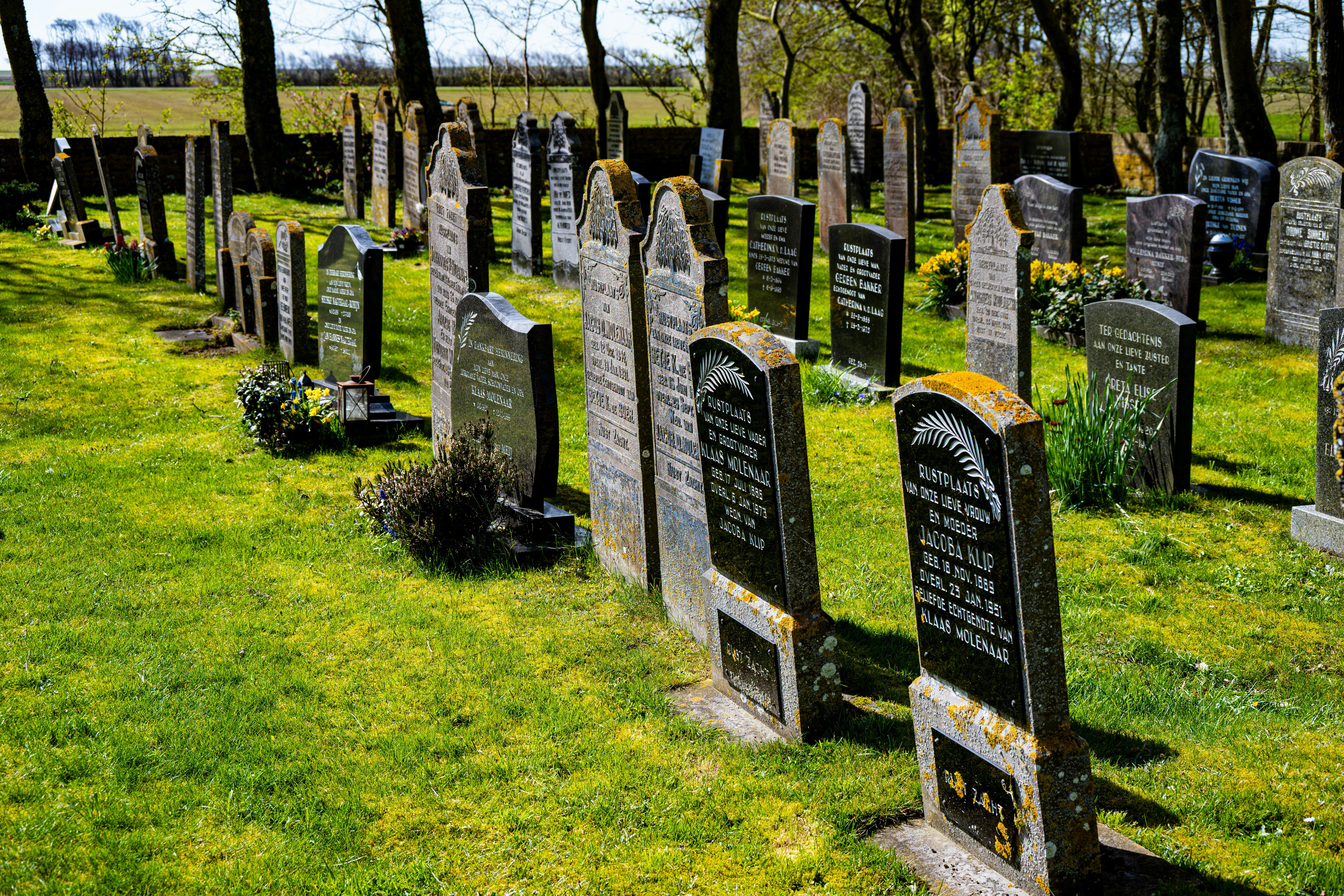 Rows of Memory: Sunlit Gravestones Line a Quiet Cemetery