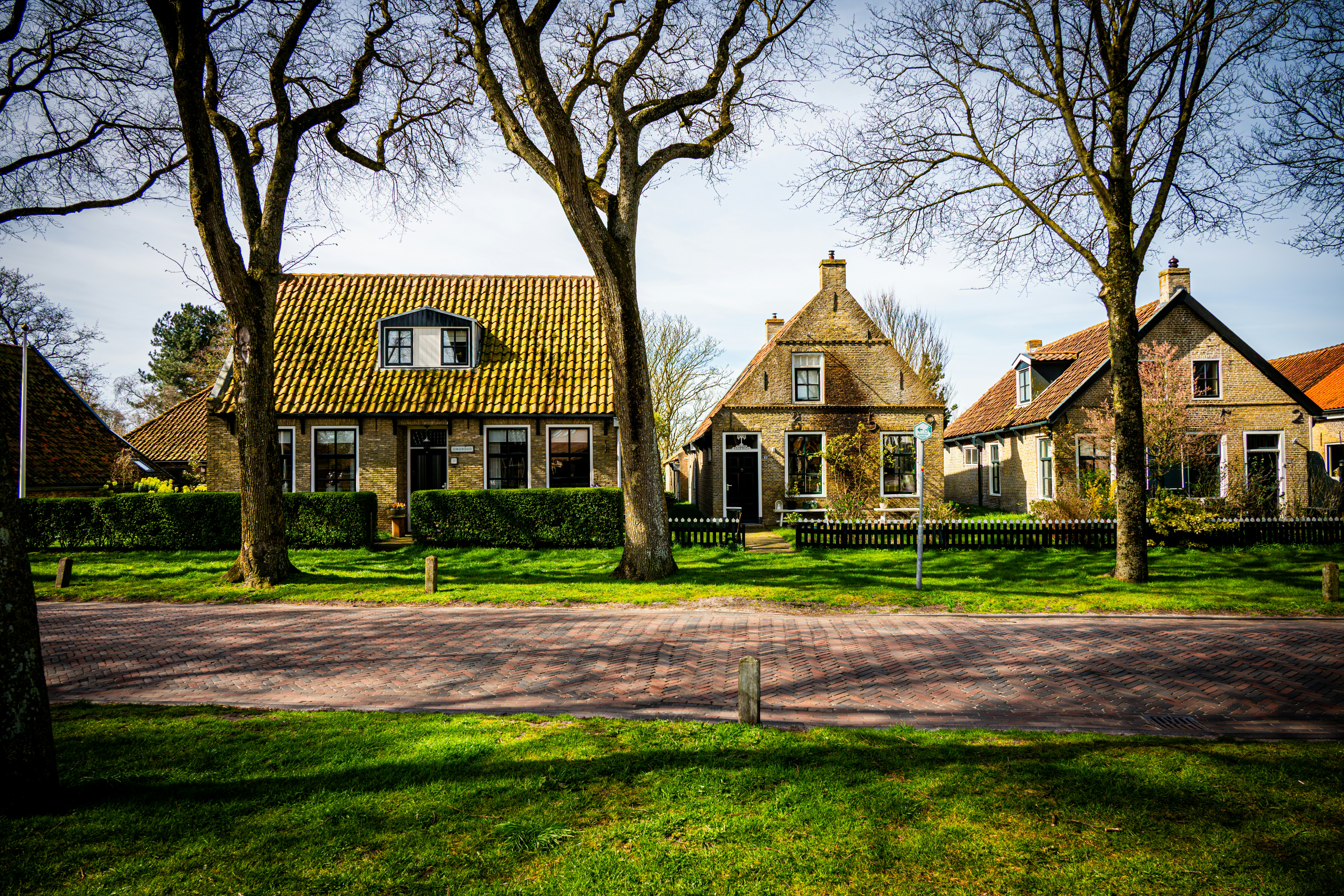Village Row in Spring Light: A Quiet Flemish Courtyard