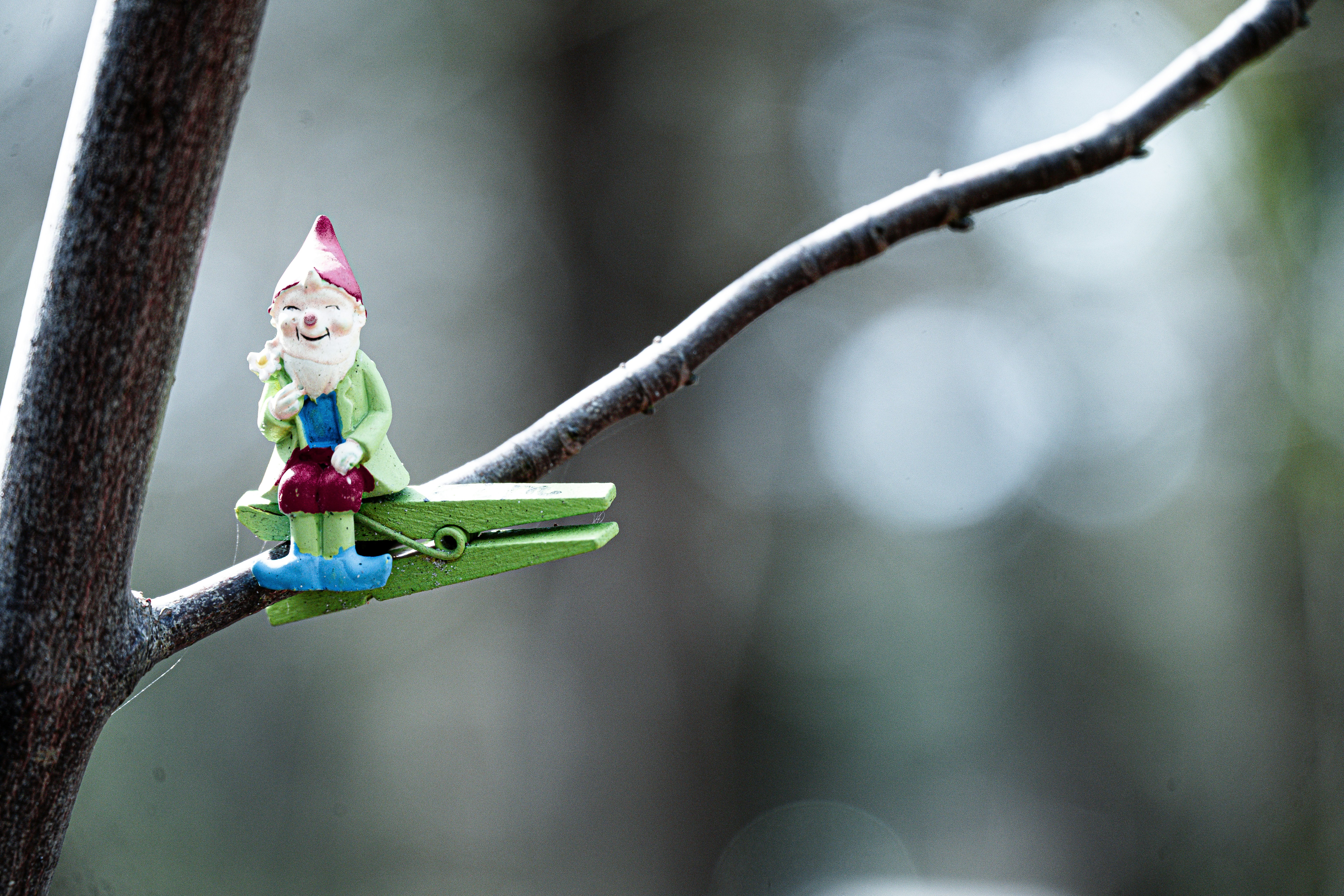 Tiny Red-Clad Gardener on a Branch