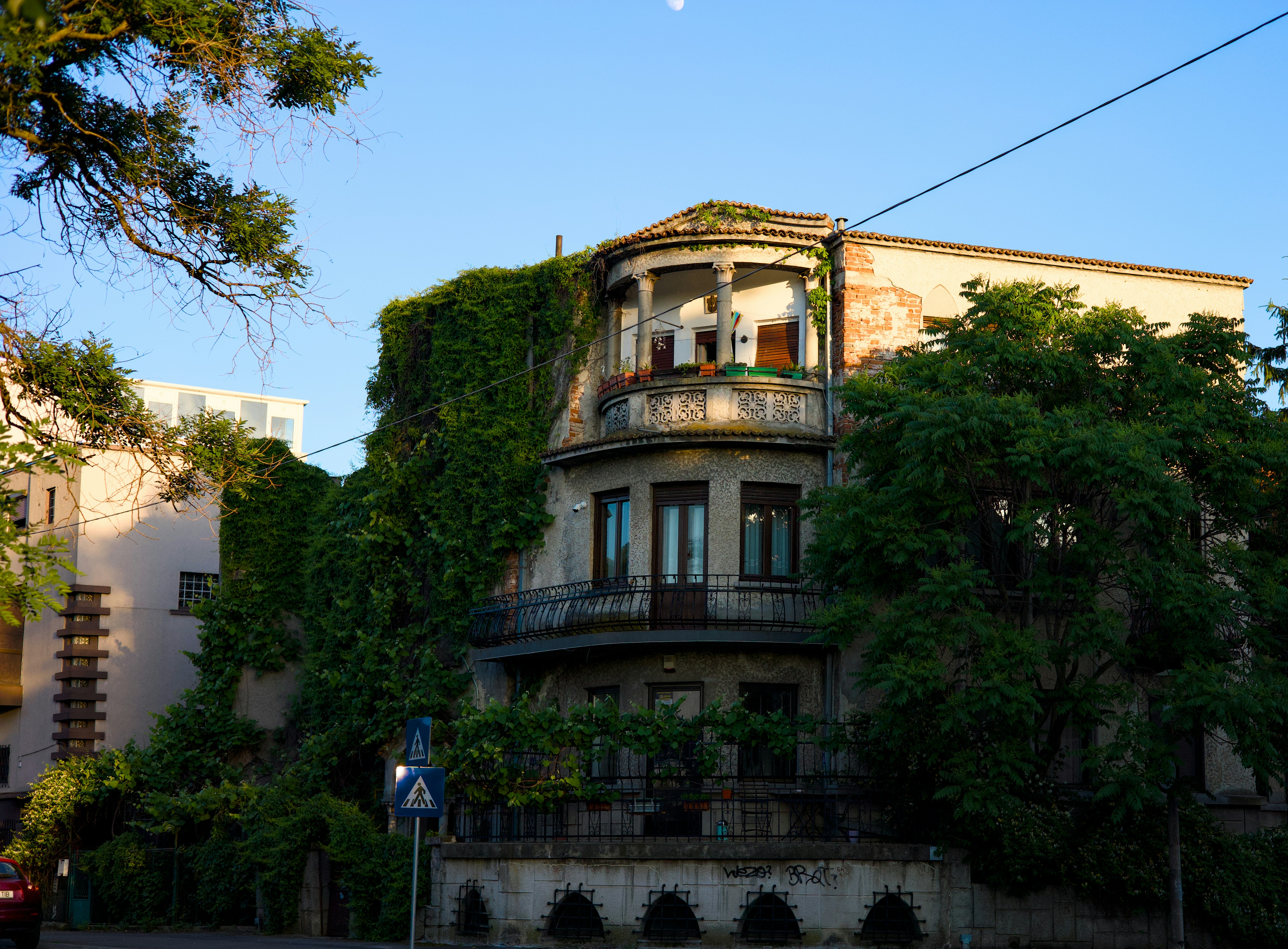 Sunlit Balcony Facade Clad in Green Ivy