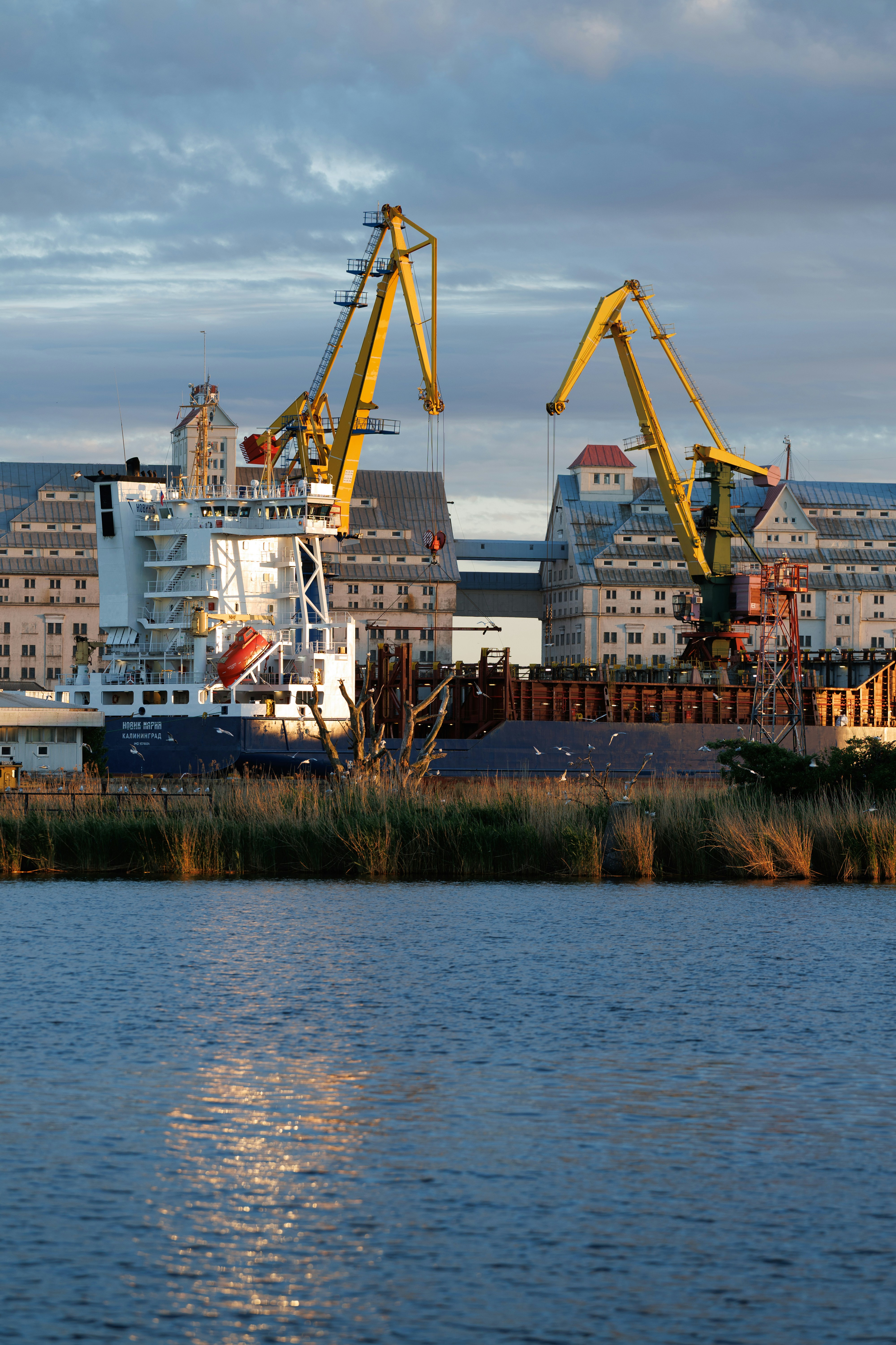 Harbor Giants: Cranes Over the Waterfront Shipyard
