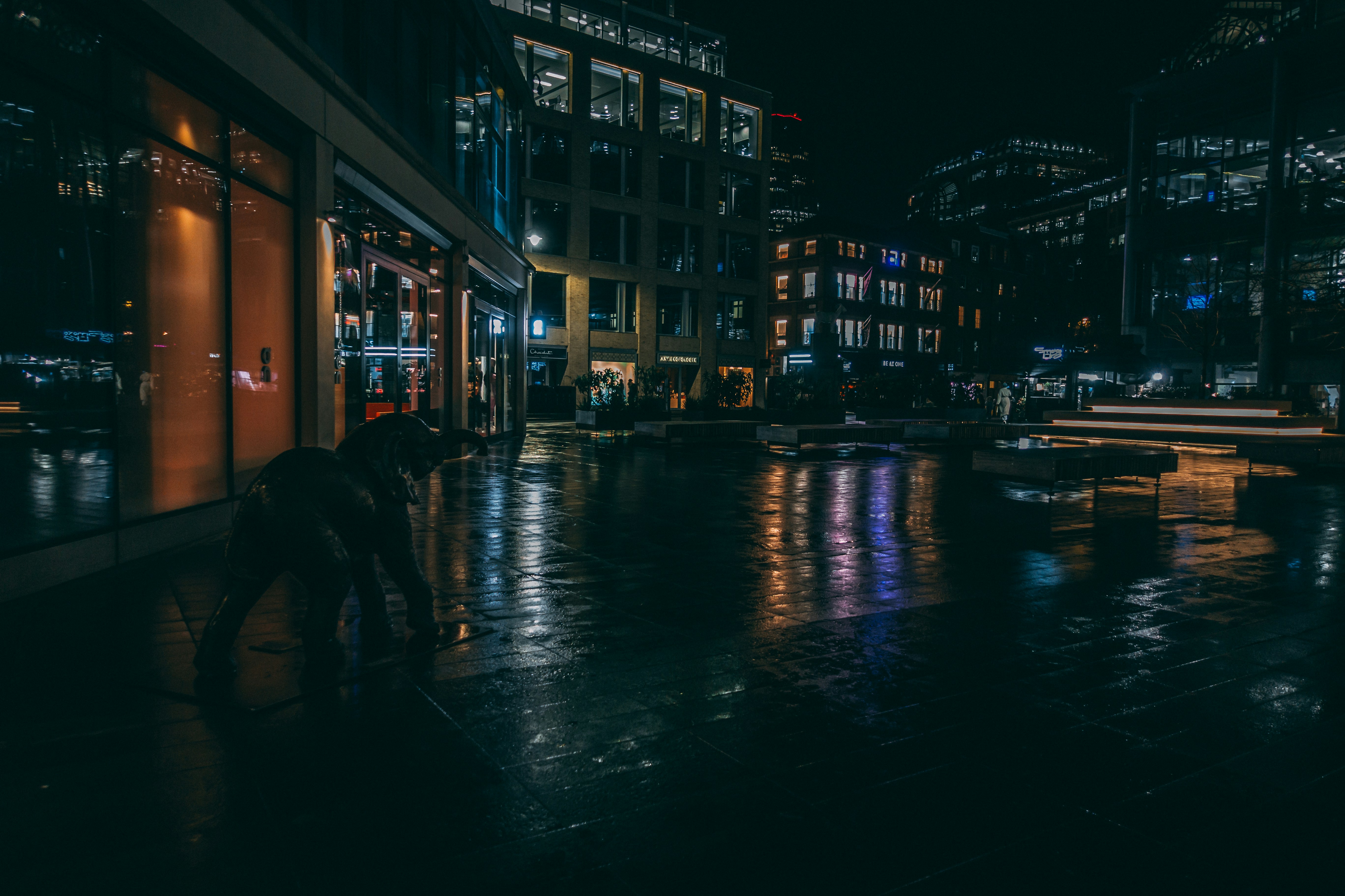 Night Pedestrian Glow: Quiet City Square After Rain
