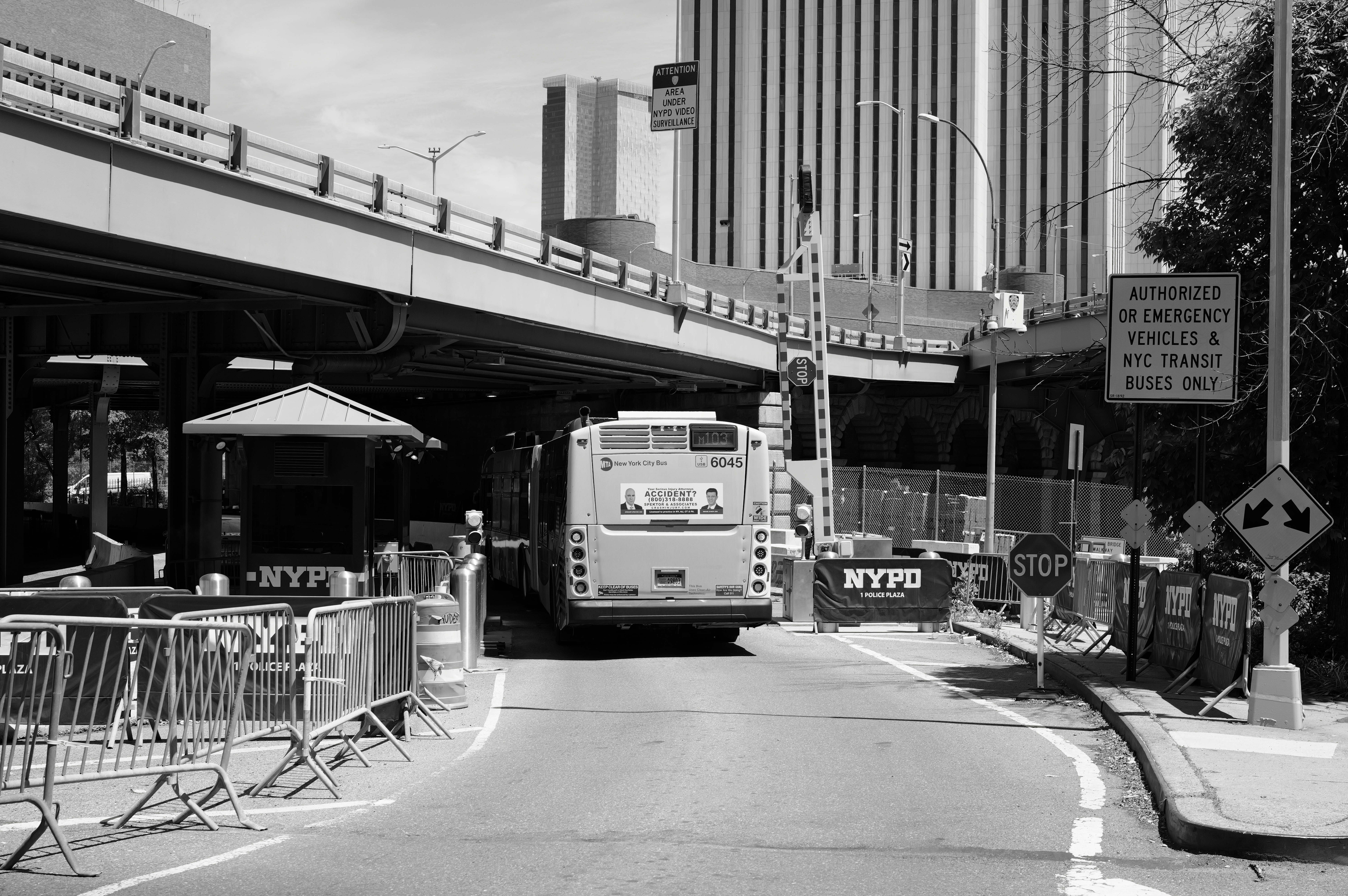 Underground Passage: NYPD Vehicle at the Urban Crossing