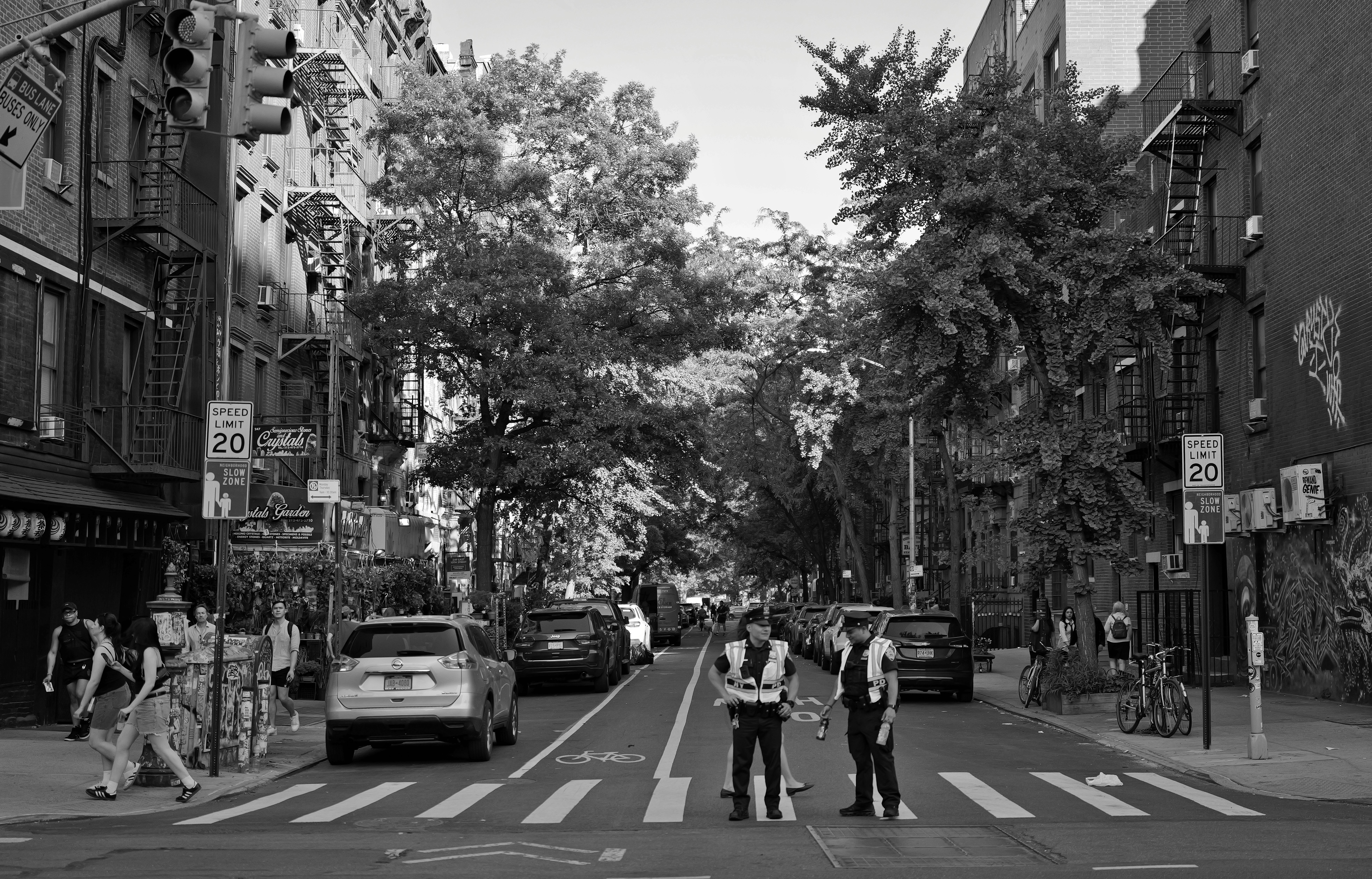 Midtown Crosswalk: Daylight Dialogue Beneath the City Canopy
