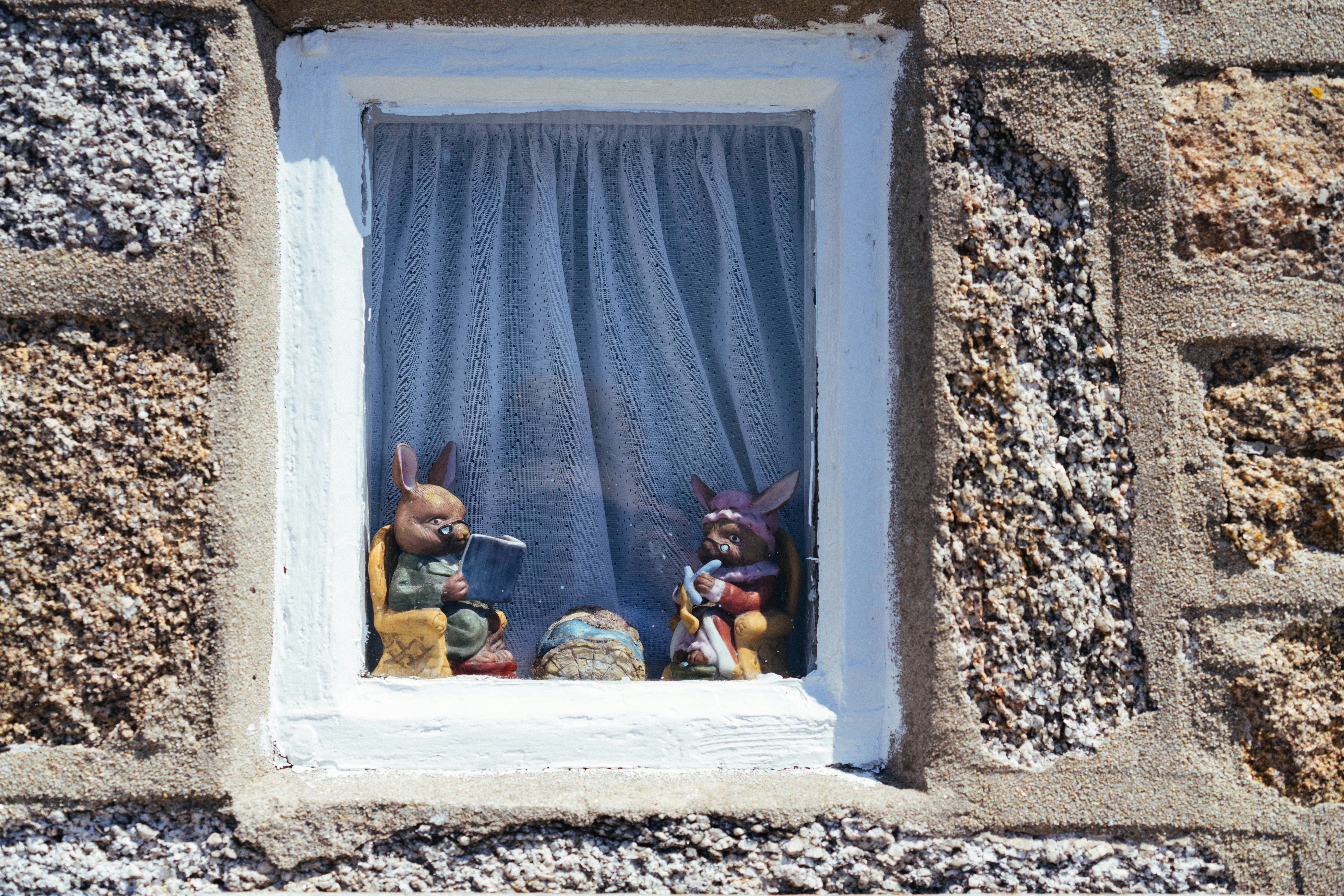 Curious Bunnies in a Window Nook