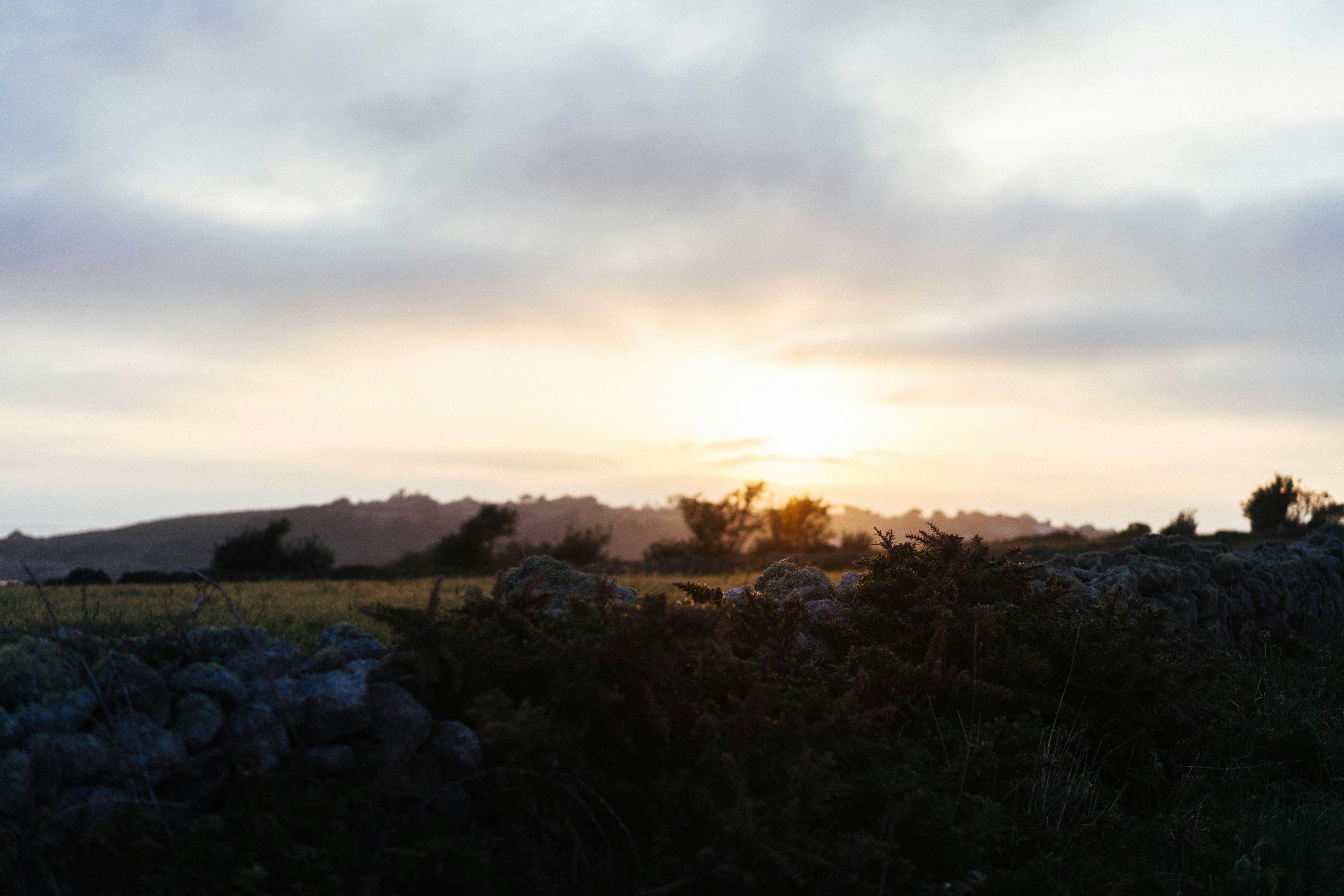 Sunrise Over a Remote Moor: Quiet Stones and Shrubs on the Horizon