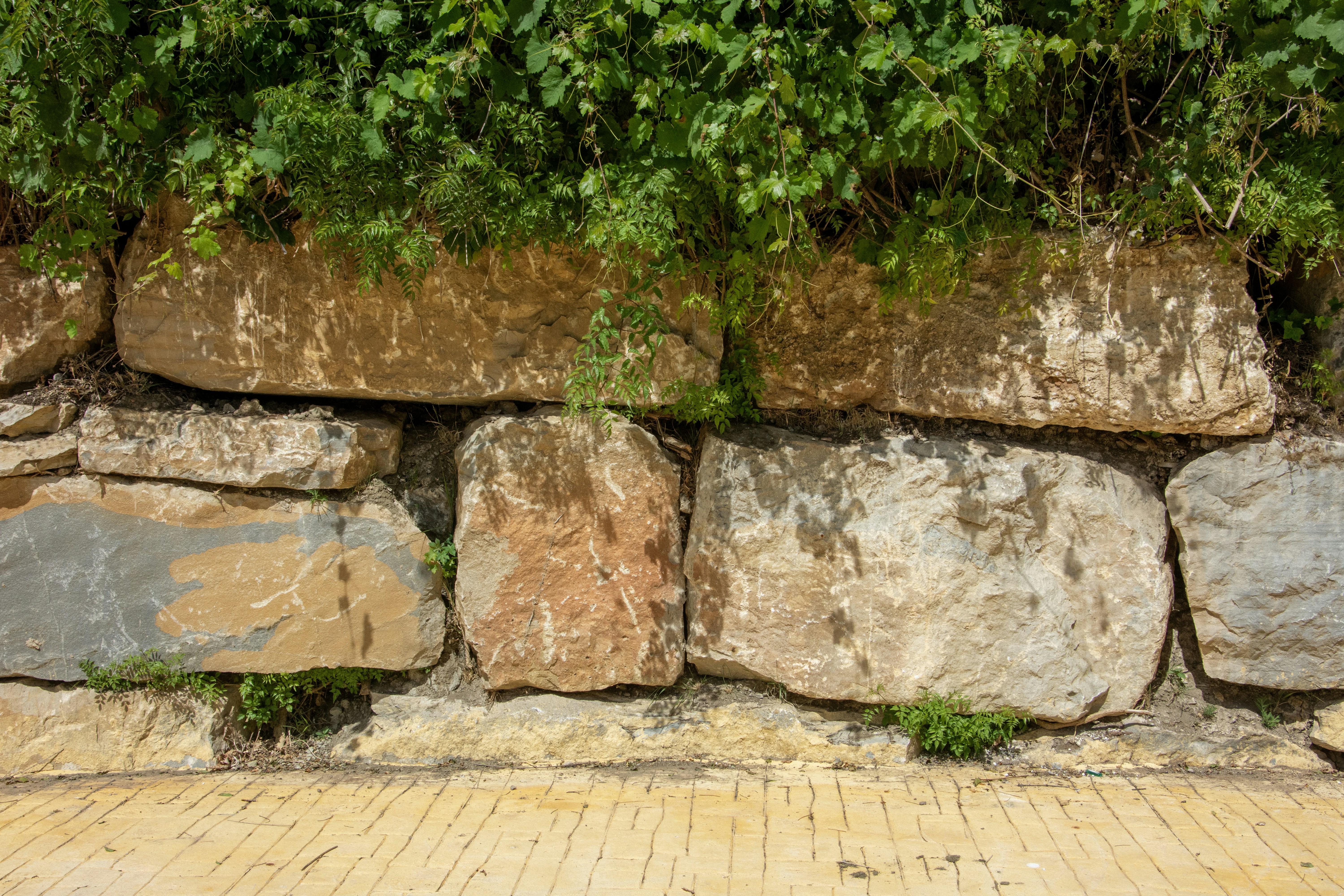 Stone Wall at Dusk: Earthy Tones and Verdant Accents
