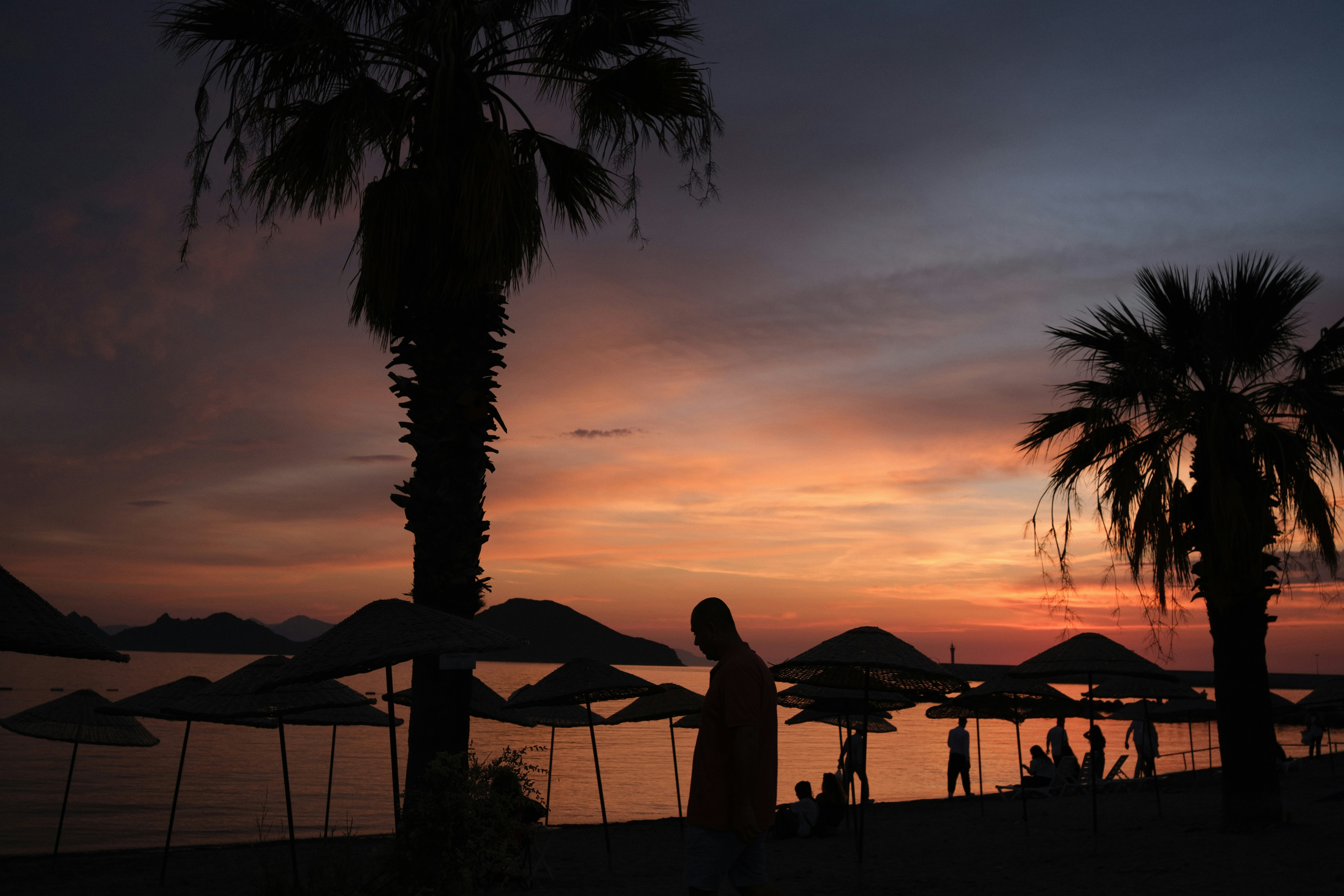 Silhouettes at Sunset Under Palm Awnings