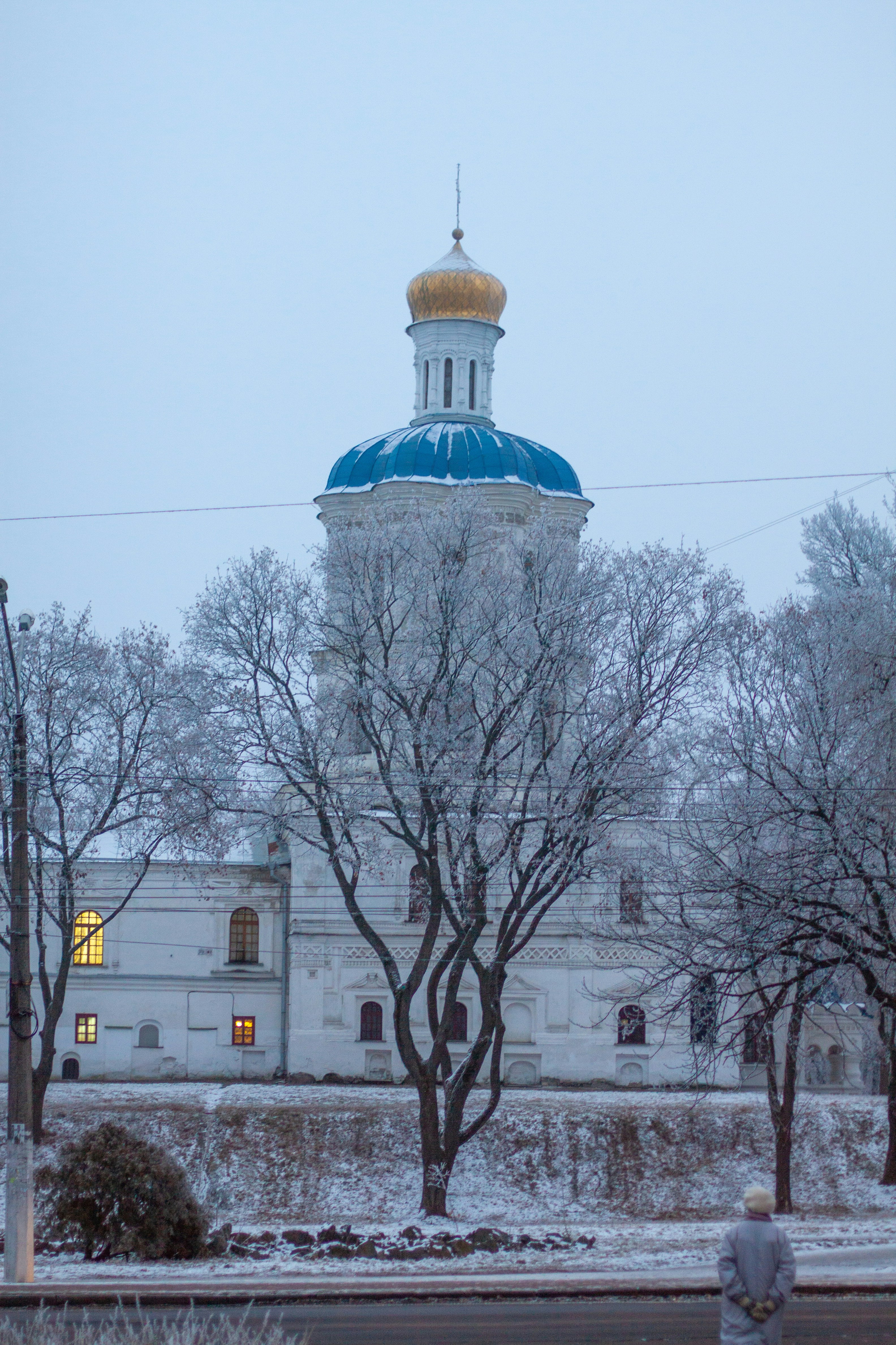 Blue Dome Cathedral Rising Through Winter Branches