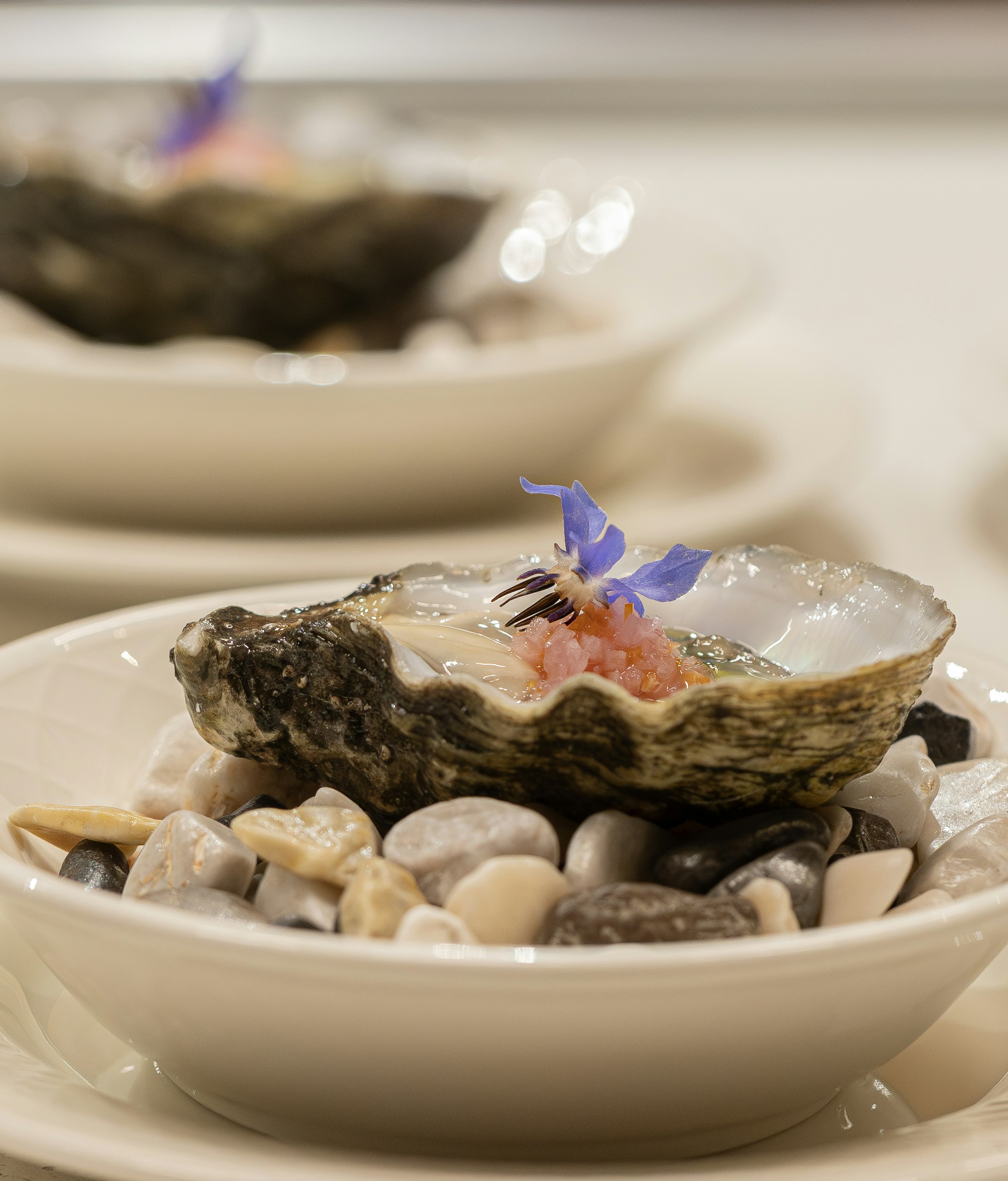 Pearls & Prism: An Oyster Highlighted with Blue Bloom