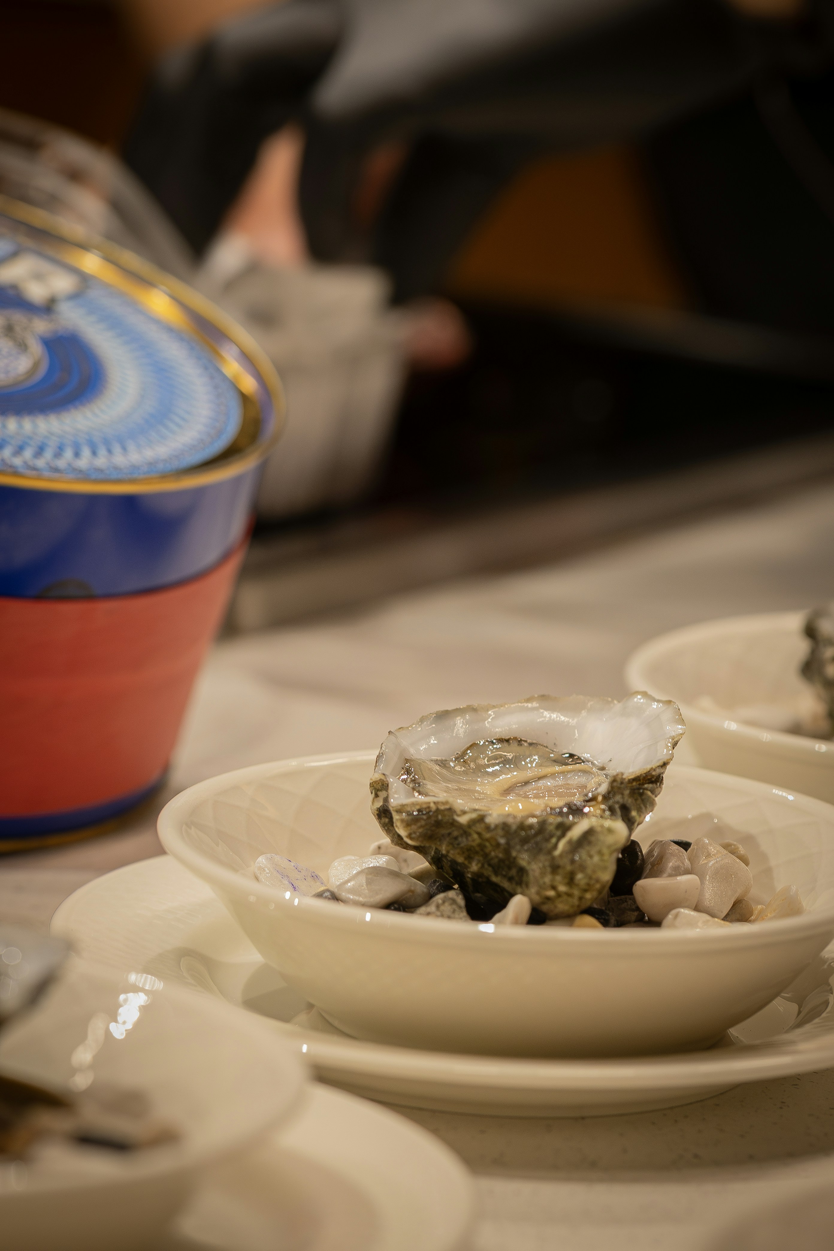 Oyster Spotlight: Iridescent Shell on a Quiet Marble Stage