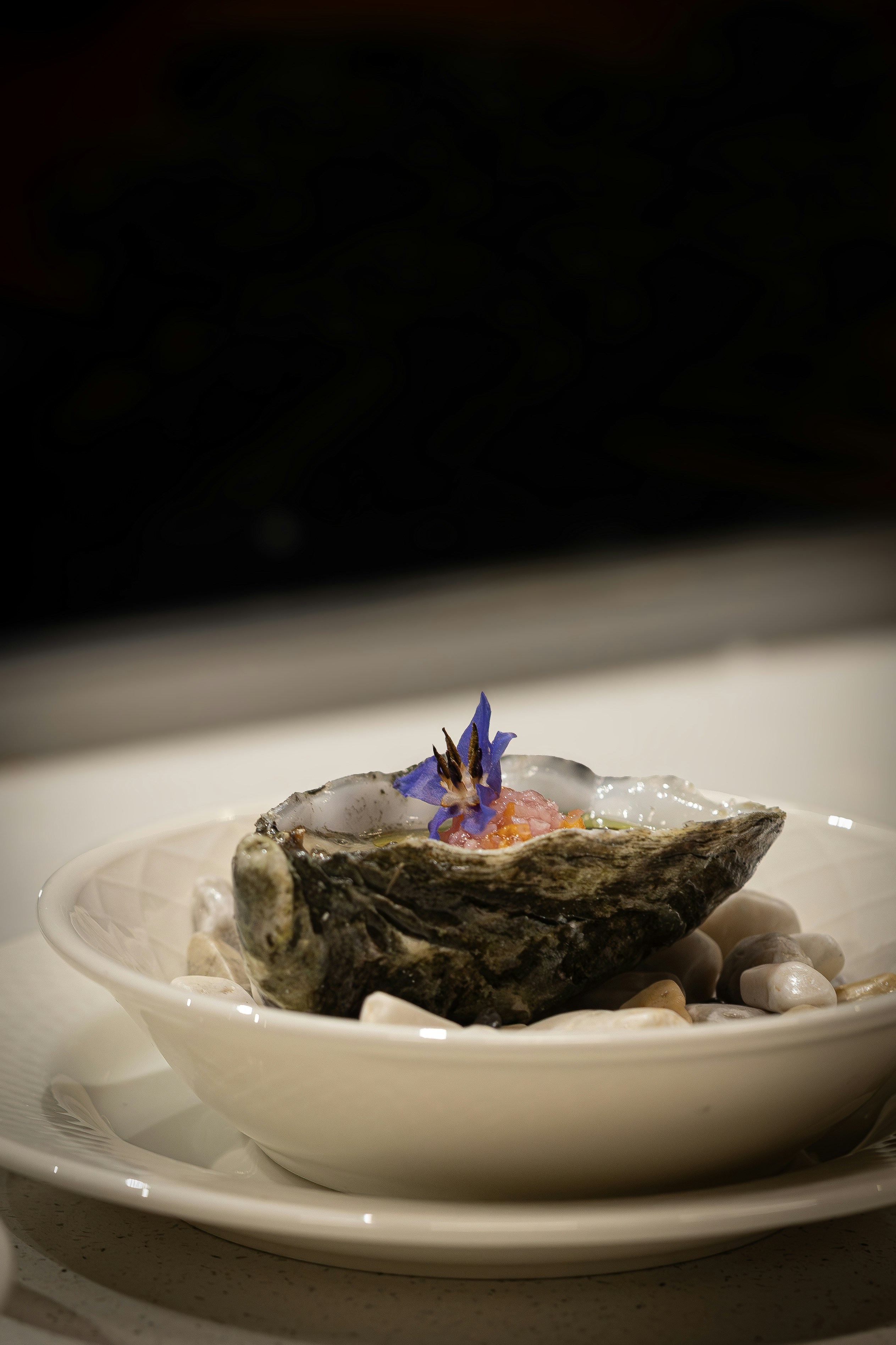 Blue Orchid Oyster: A Delicate Sea Jewel Resting on Ceramic Peaks