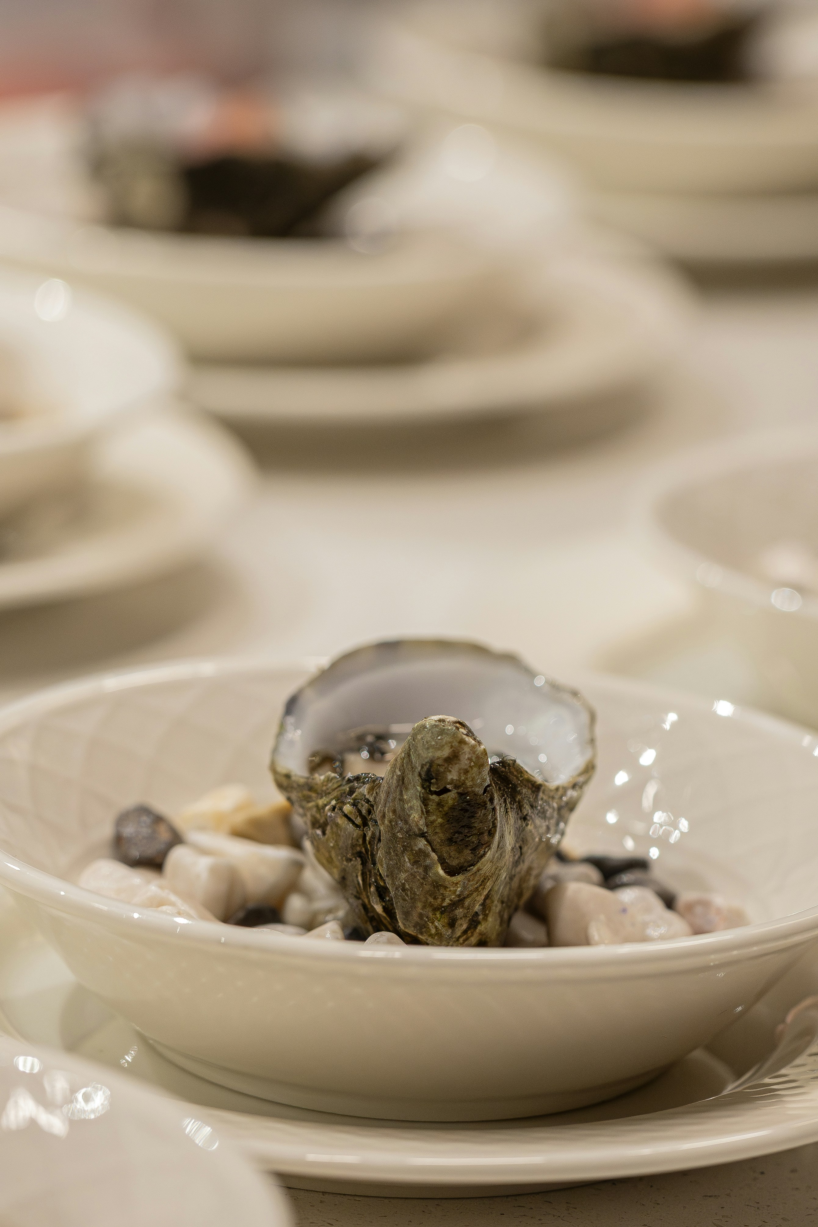 Centerpiece Shell: a single oyster crown rests in a porcelain bowl amid a softly blurred table setting