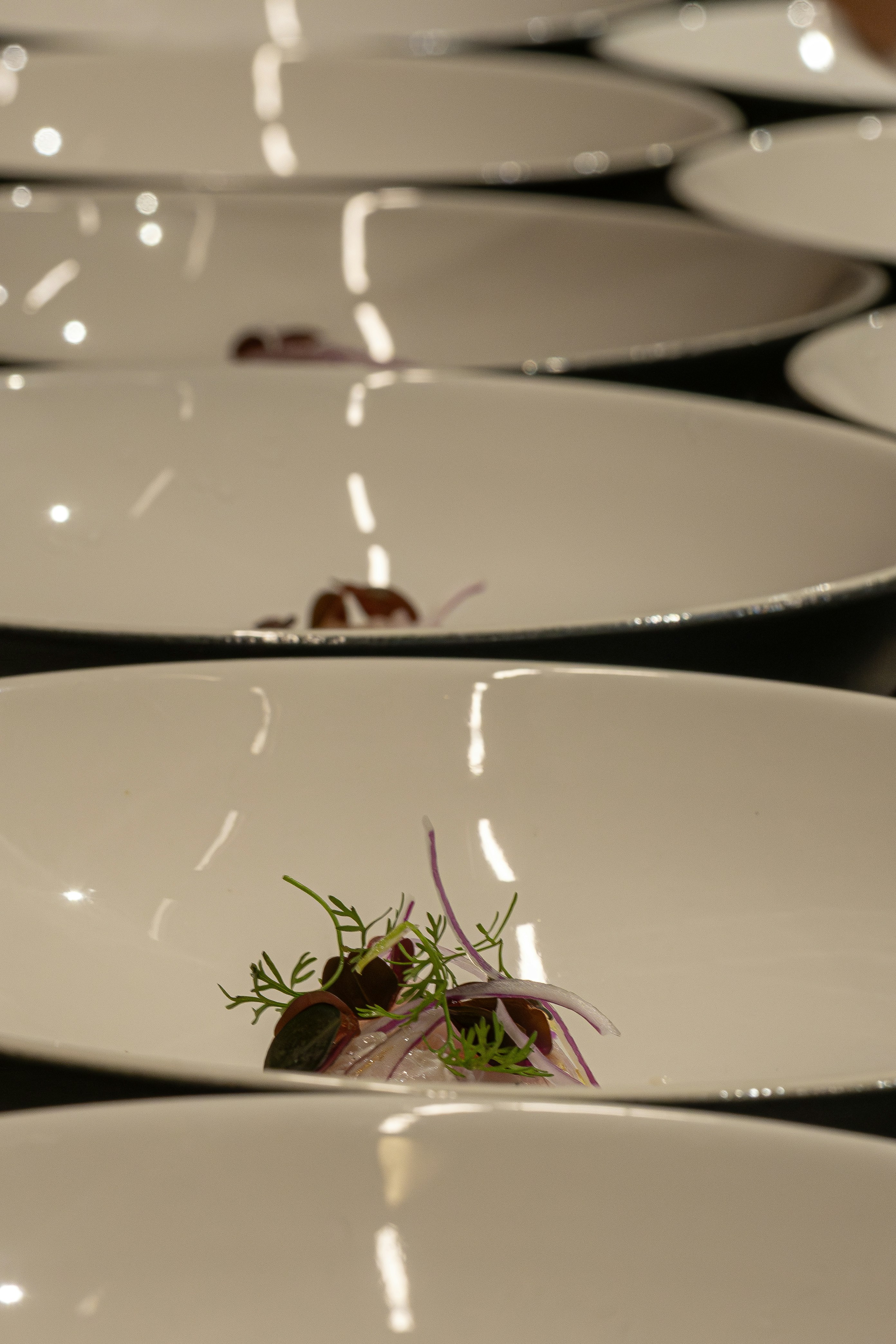 Parsley and Shallot Echoes Across Ceramic Rings