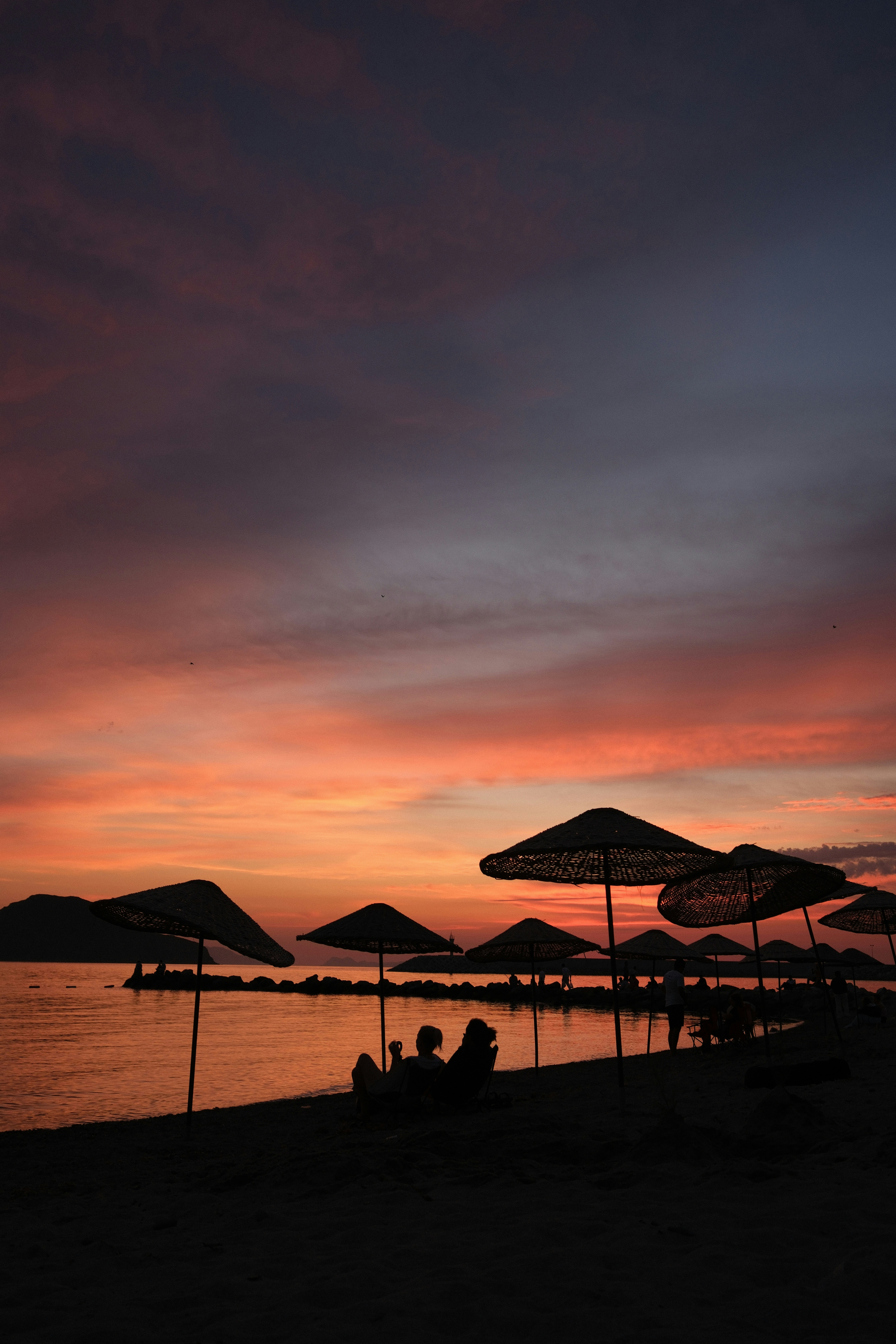 Silhouettes Beneath a Rosy Horizon