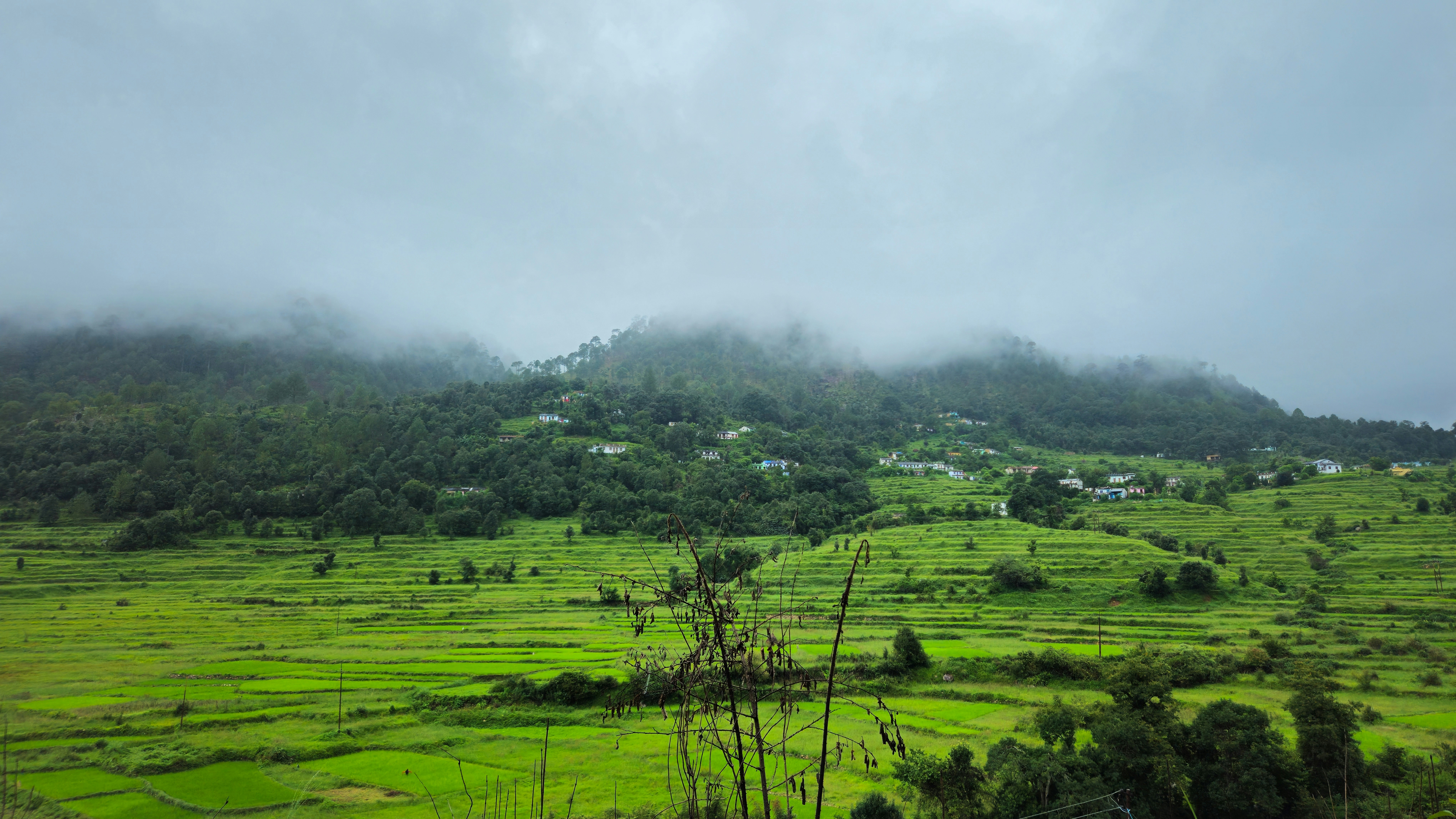 Verdant Terraced Valley Under Misty Horizon