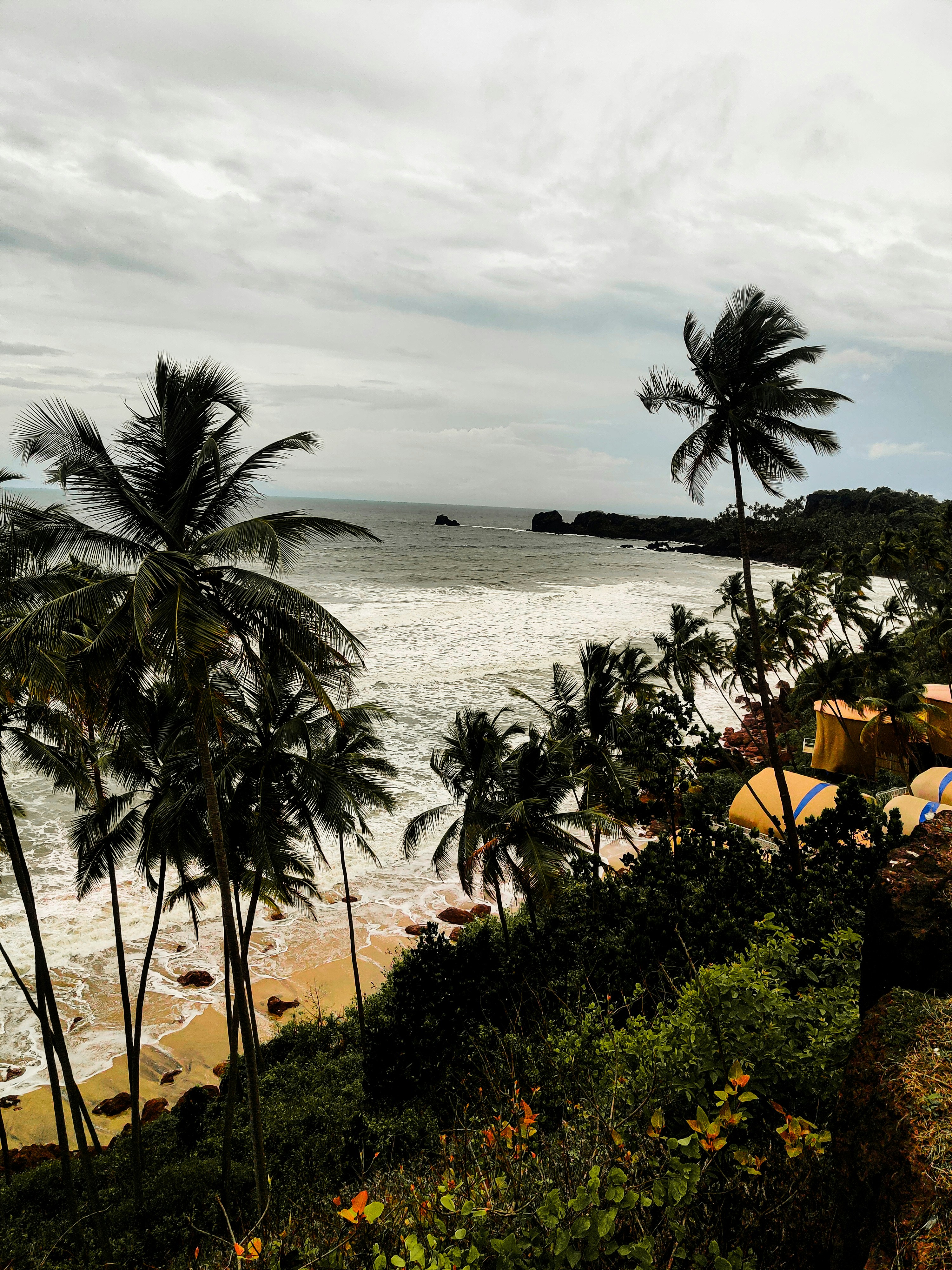 Palm-fringed coastline and sunlit surf from a hillside viewpoint