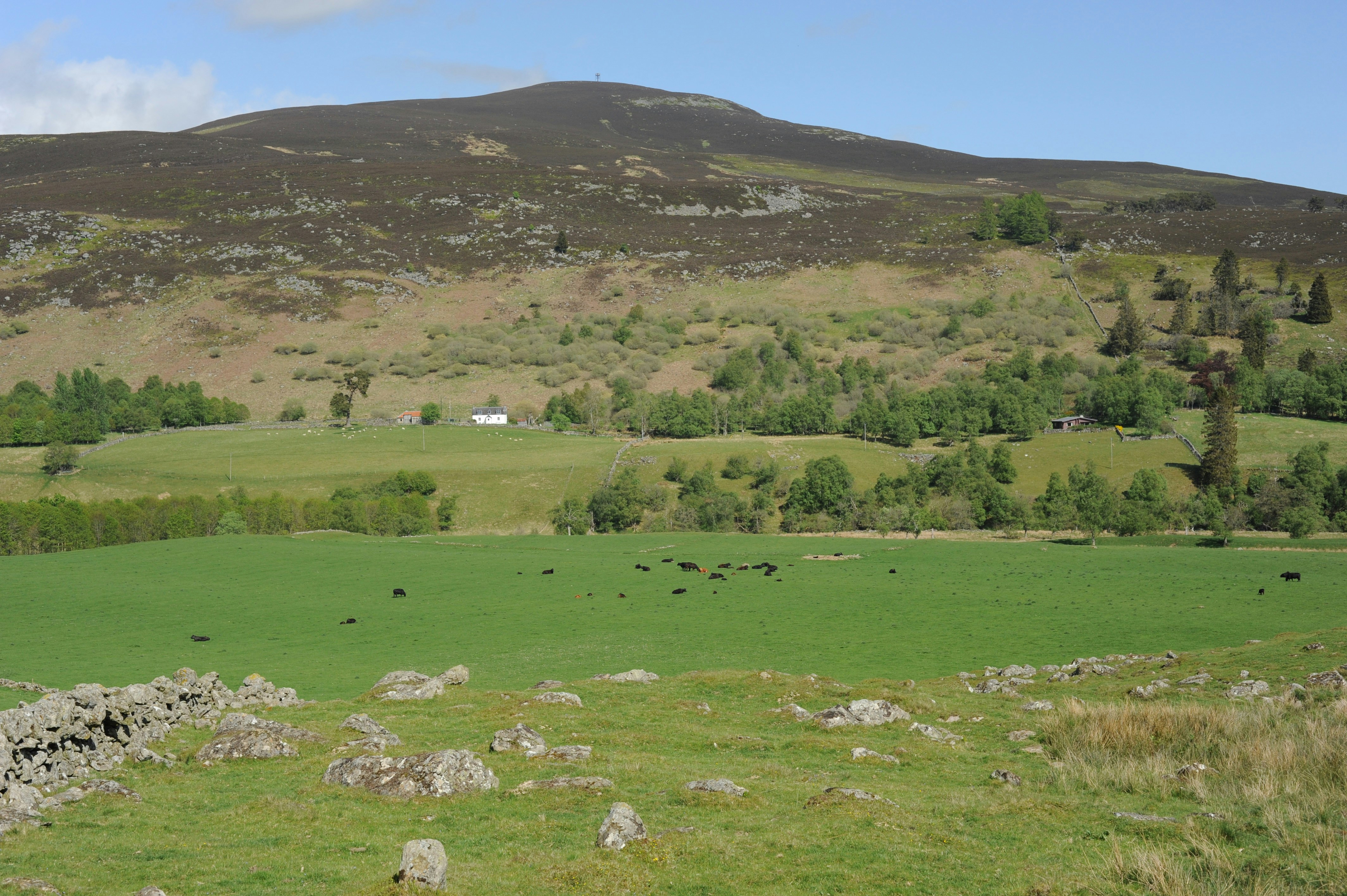 Pasture and Stone Bed Beneath a Quiet Moorland