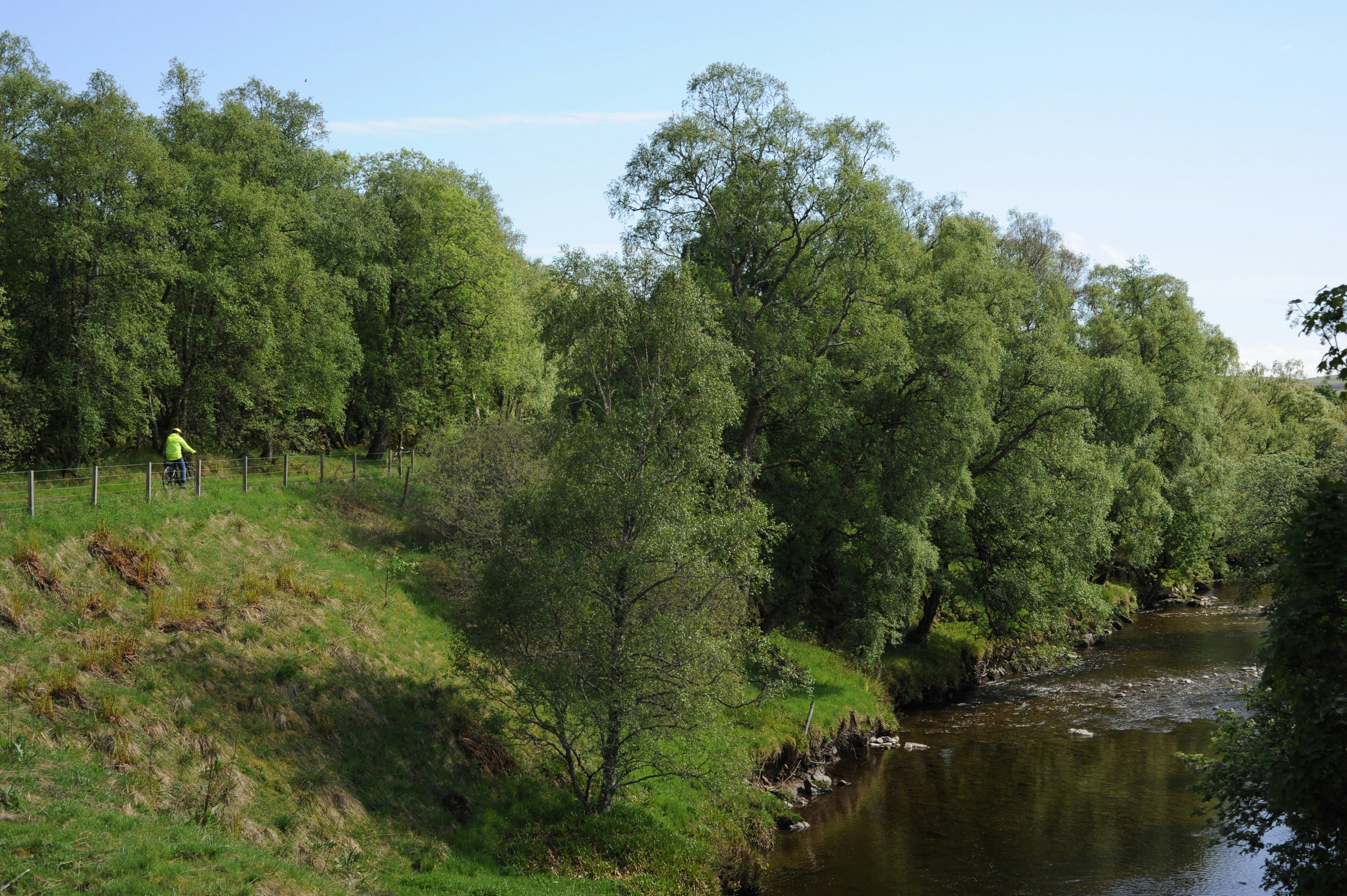Riverbend Vista: Dappled Light Across the Riverside Cliffs