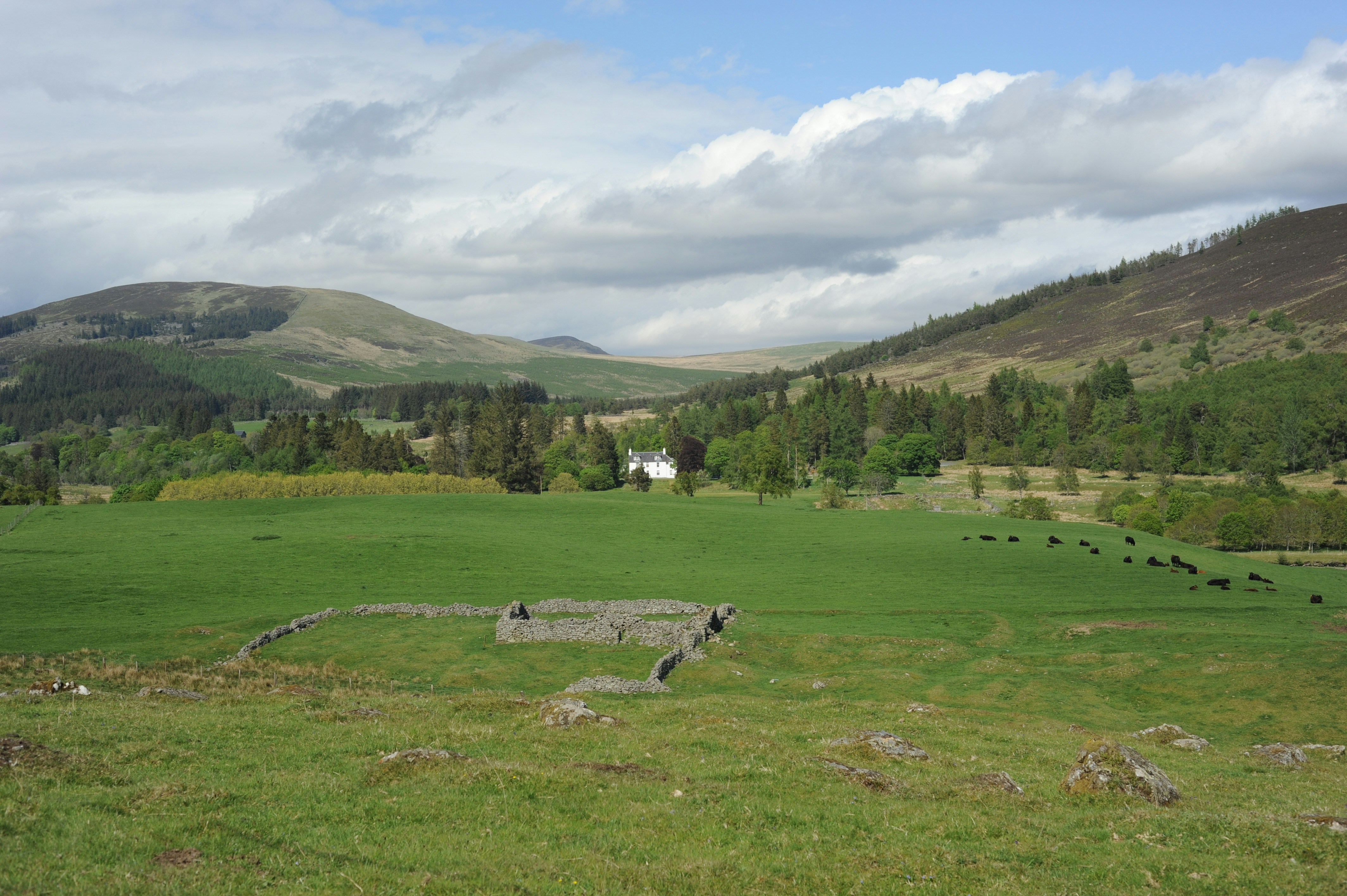 Pasture, Stone Walls, and a Distant White Farm Under Rolling Hills