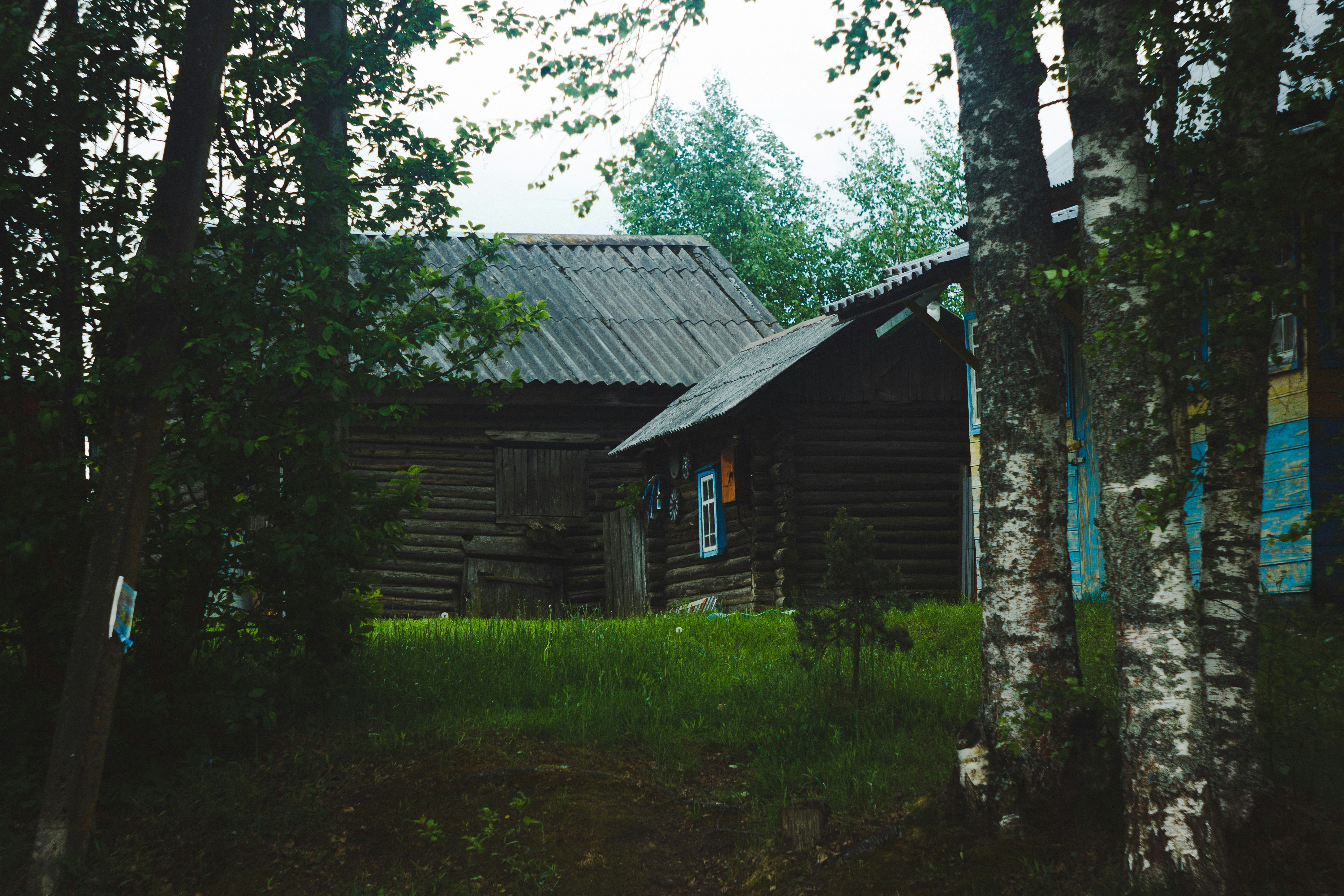 Weathered Cabins at the Edge of the Clearing